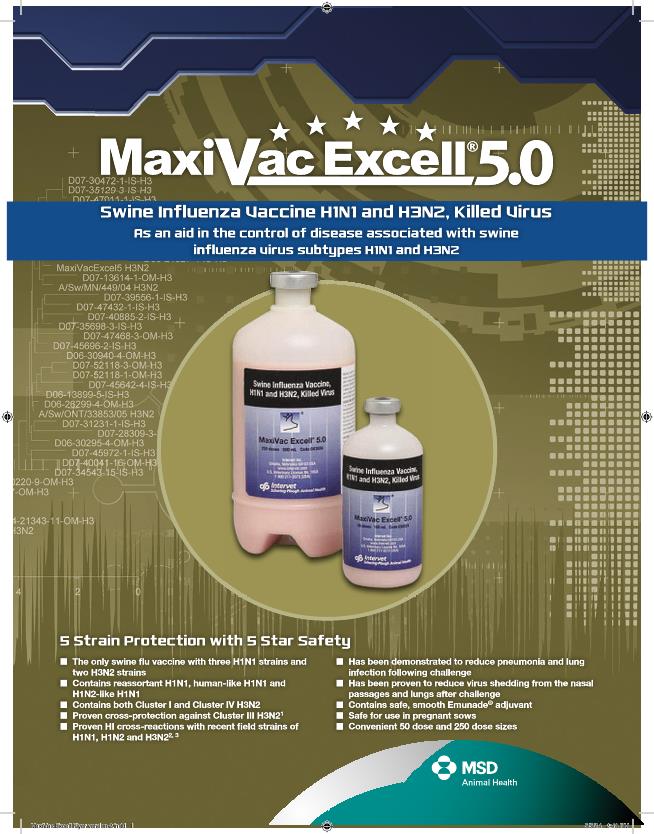 MSD Animal Health Brochures & Flyers by Darwin Sardez at Coroflot.com