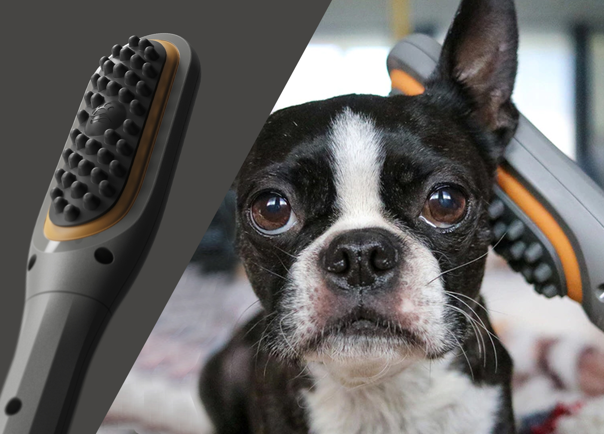 PAW WAVE - Pet massager by Alex Garfio at Coroflot.com
