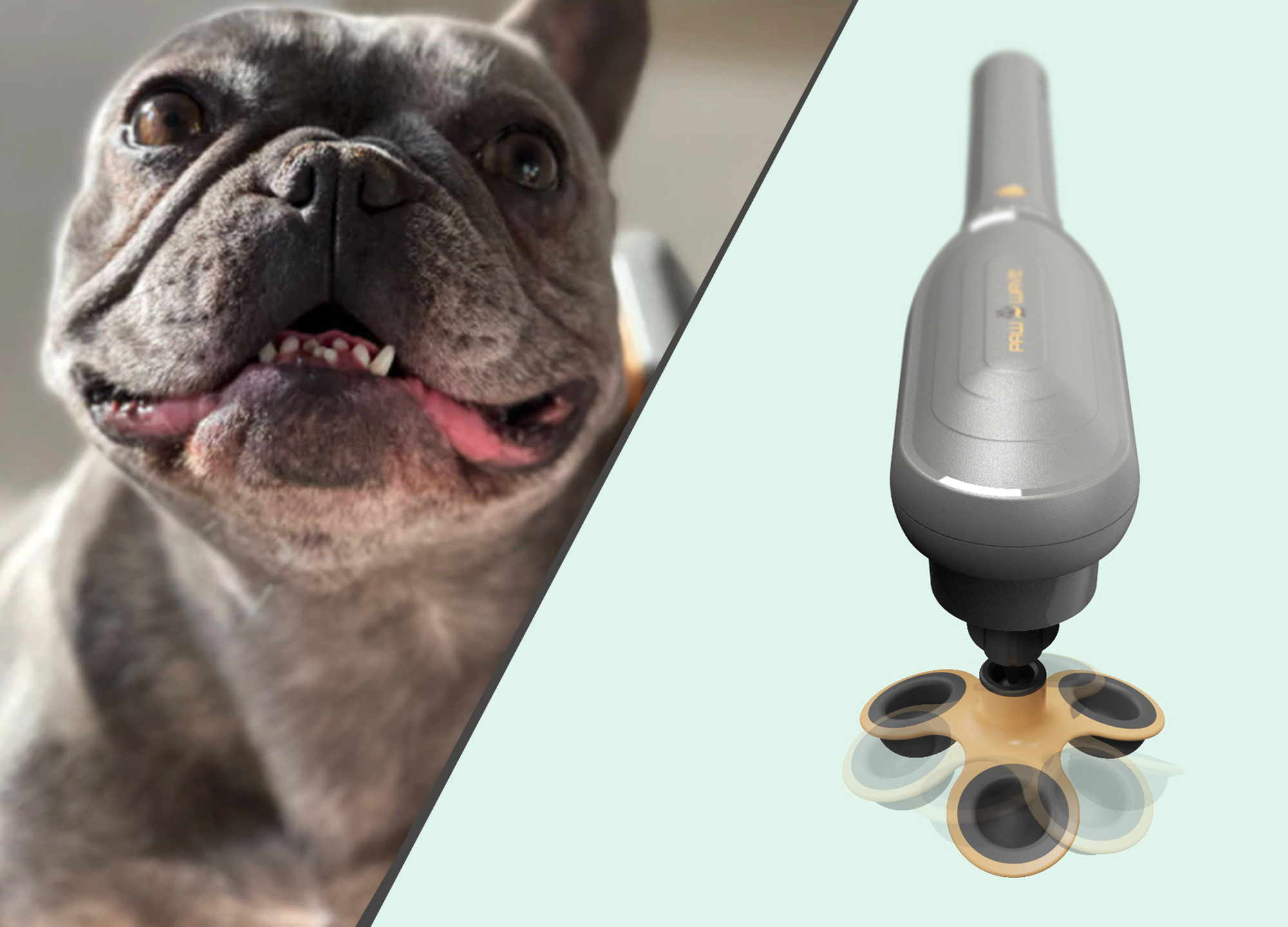 PAW WAVE - Pet massager by Alex Garfio at Coroflot.com