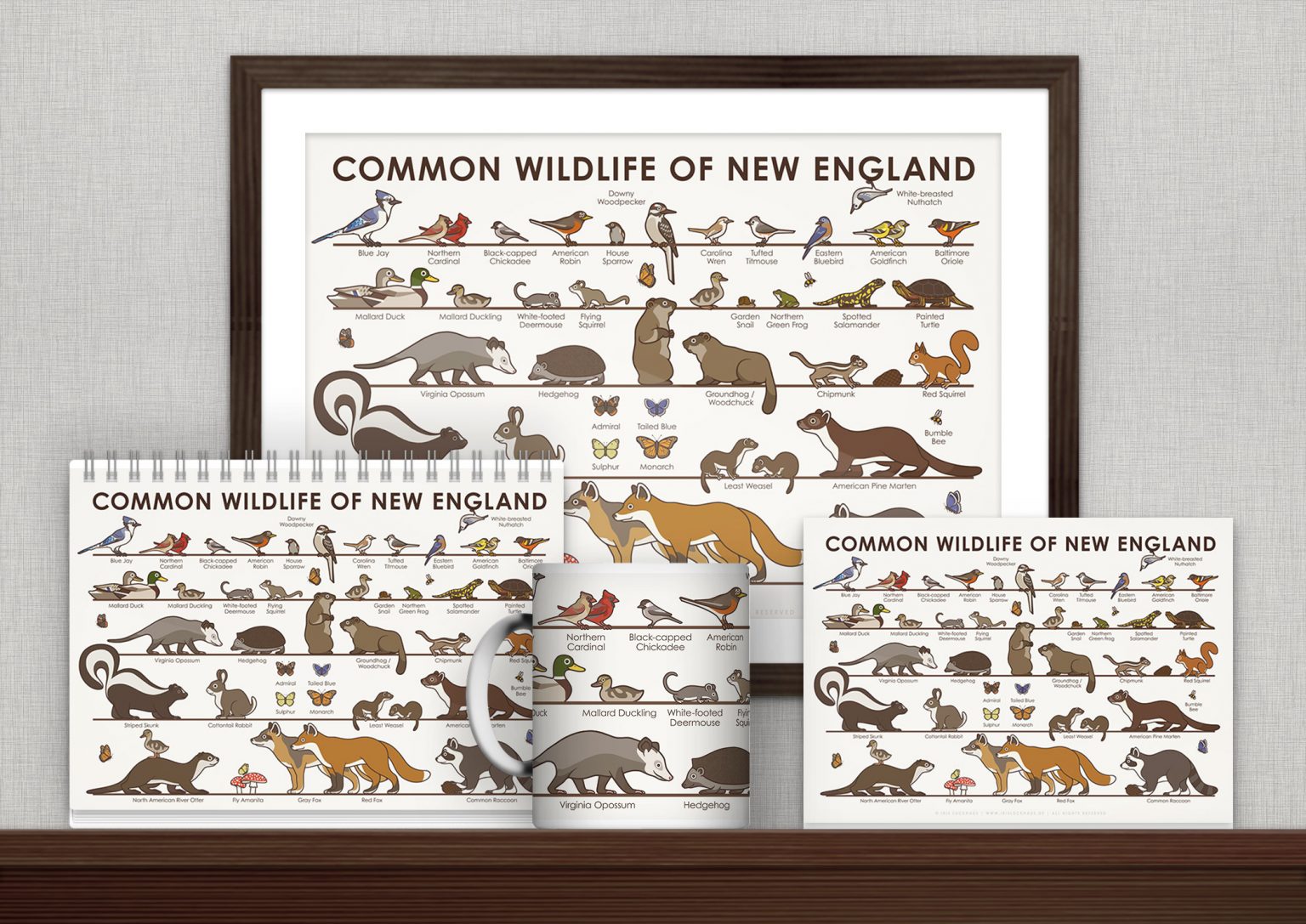 Common Wildlife of New England Identification Chart by Iris Luckhaus at ...