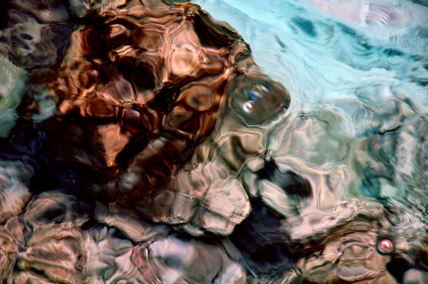 Water Distortions 2011 & 2012 by Joao Santos at Coroflot.com