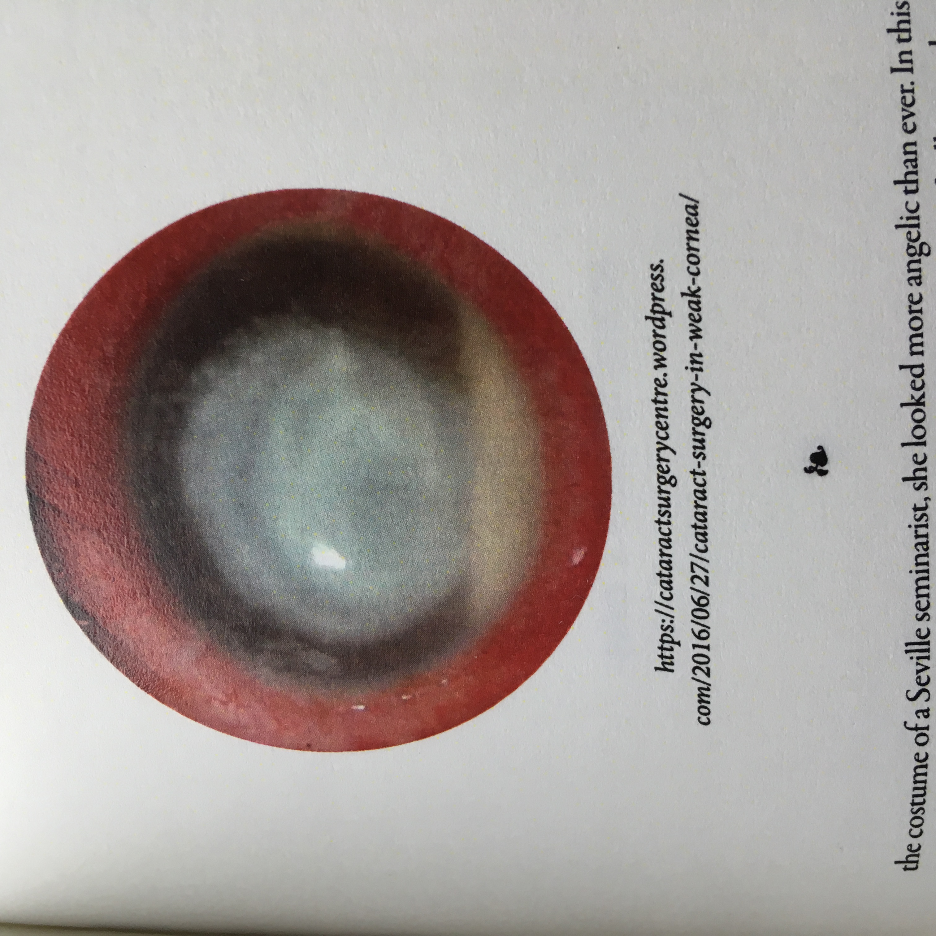 A Visual Interpretation of Georges Batailles' The Story of the Eye by T ...