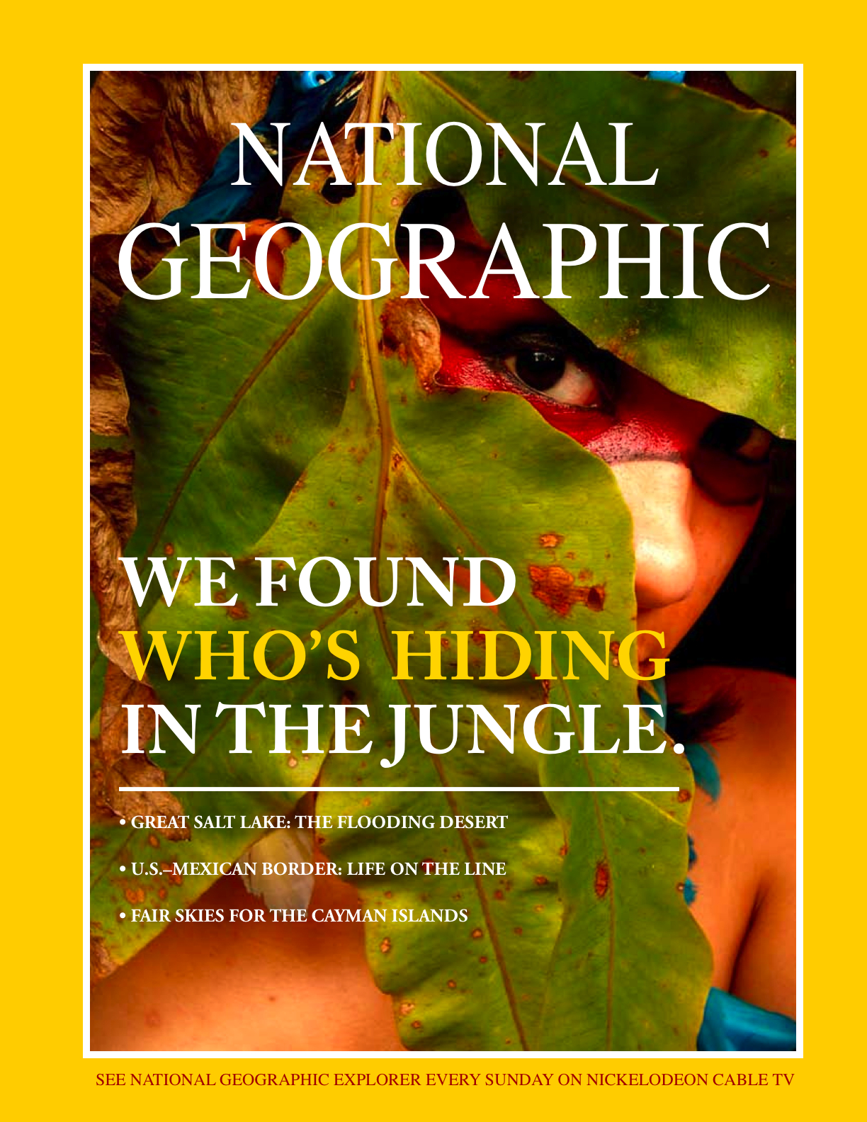 National Geographic Mock by Charles Ryan Hilliard at Coroflot.com