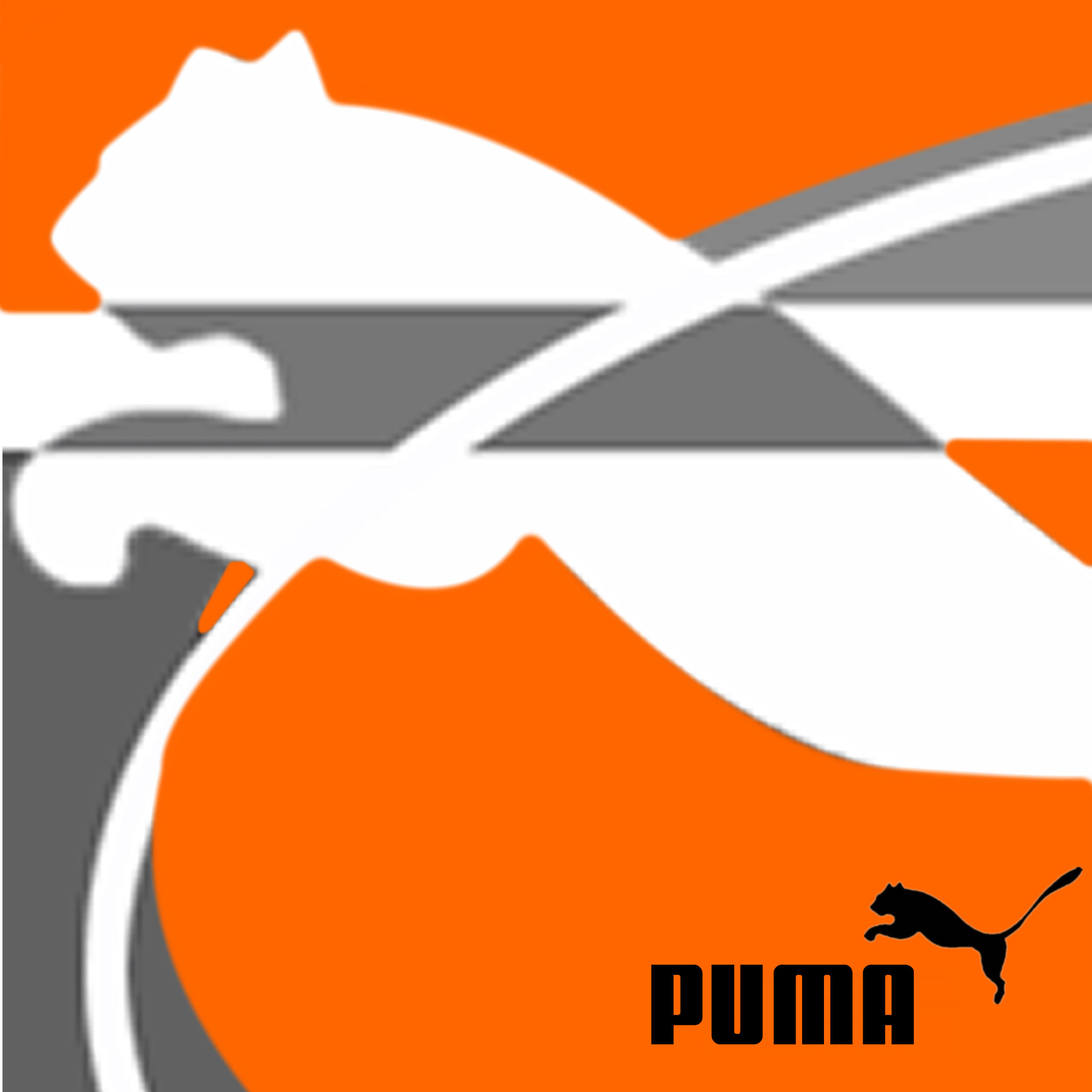 brand profiling for puma for a college assignment by Agomoni agz at ...