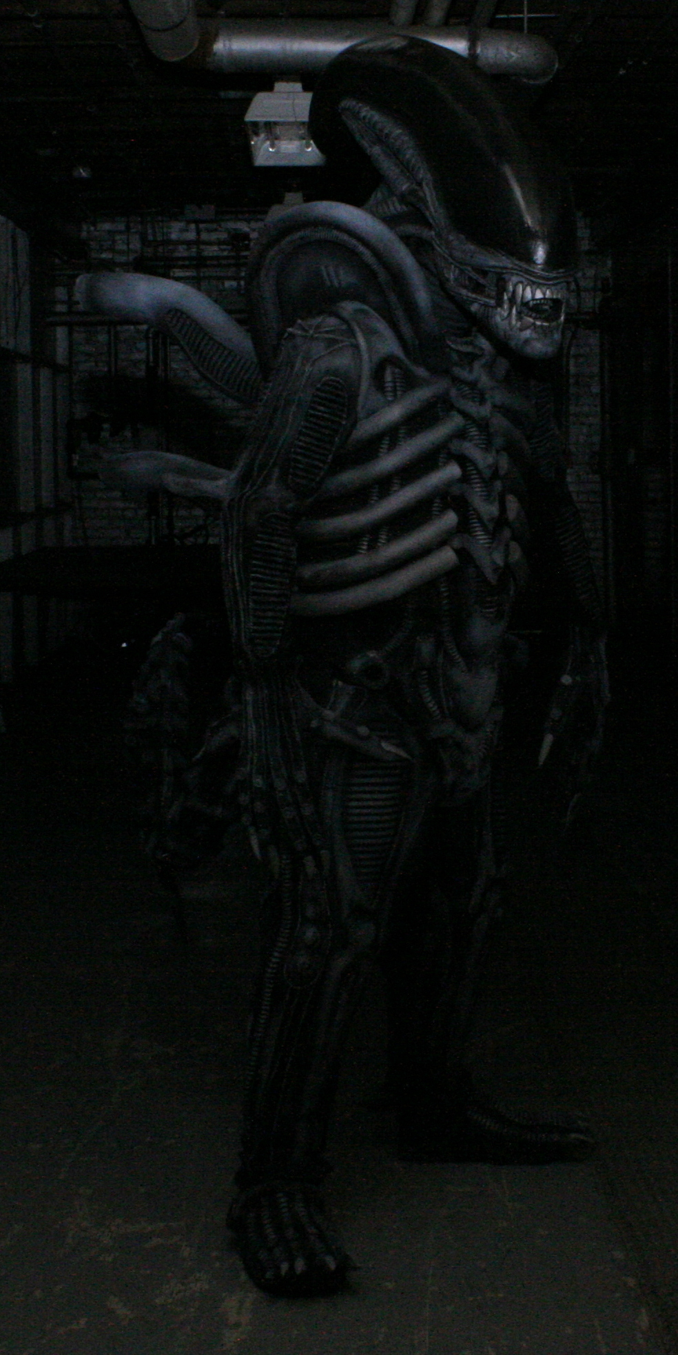 Xenomorph Costume 2012 by Ian Austin at Coroflot.com