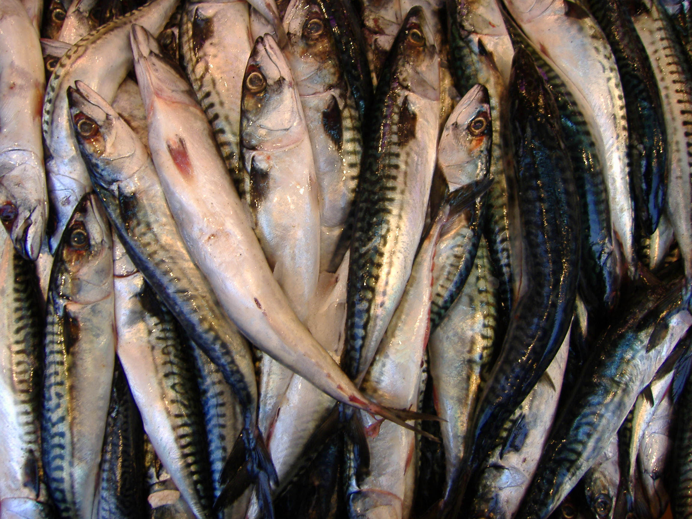 Photography by Ian Austin at Coroflot.com