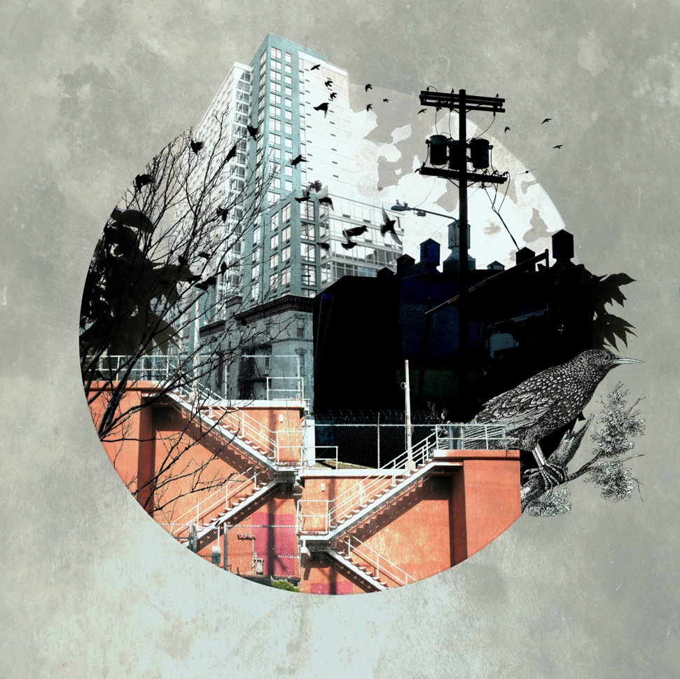 Graphic Design / Photography by Liz Brizzi at Coroflot.com