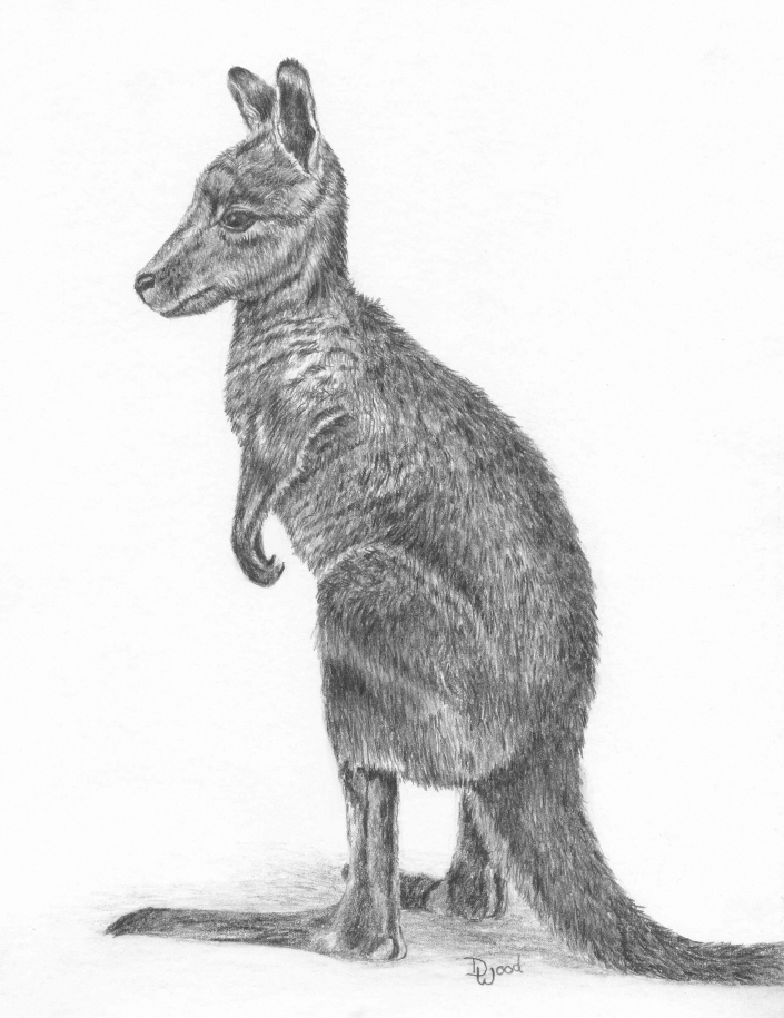 Animal Art by Denise Wood at Coroflot.com