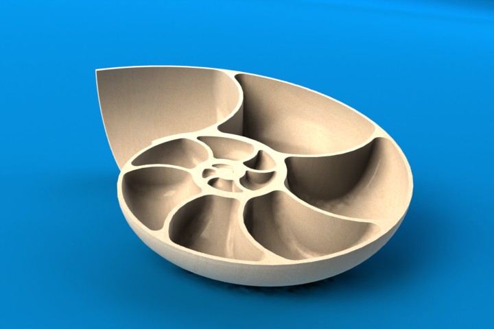 FREELANCE - Nautilus Shell CAD Model by Lilia Subkhankulova at Coroflot.com