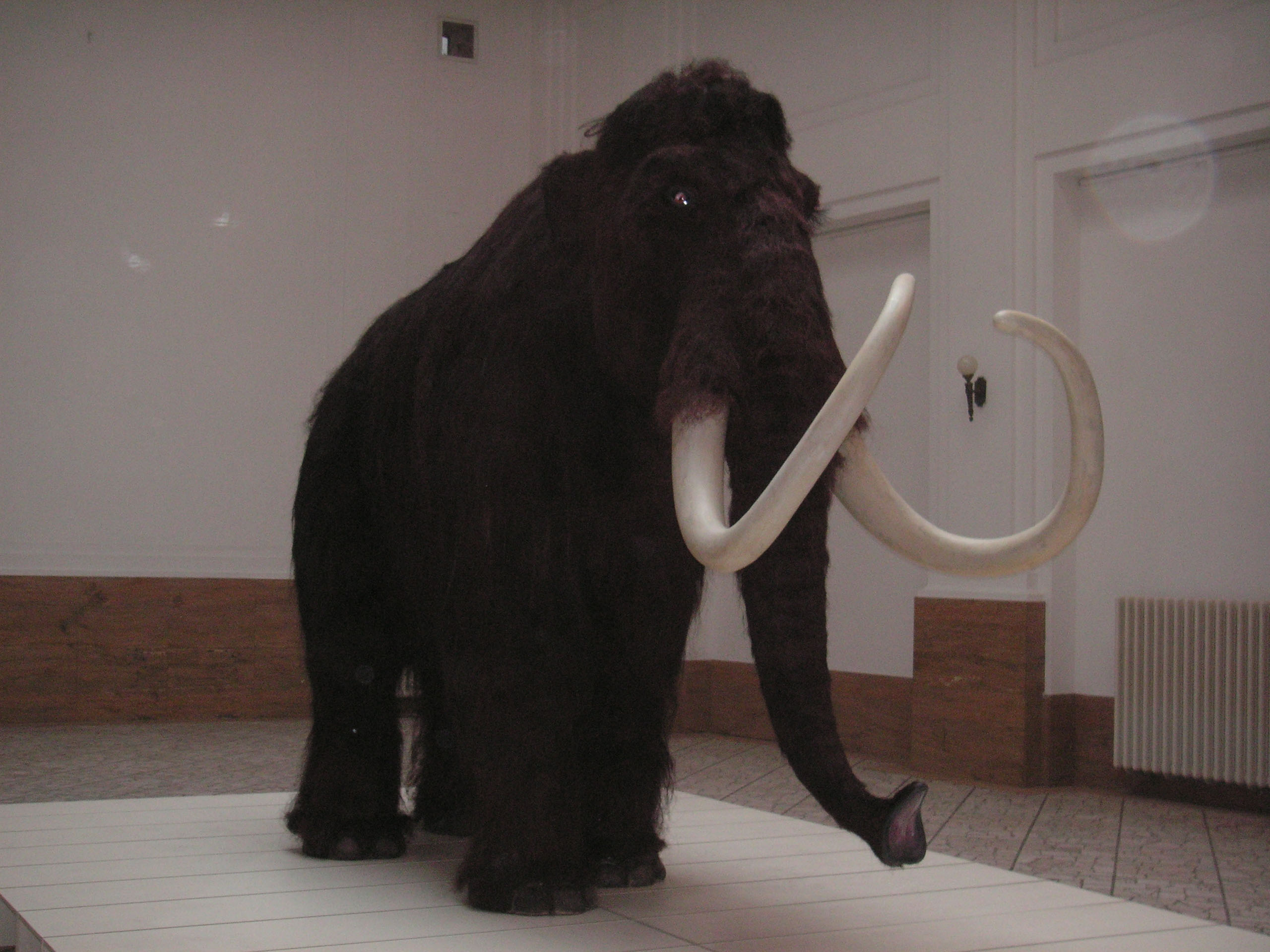 mother MAMMOTH by peter klaudiny at Coroflot.com