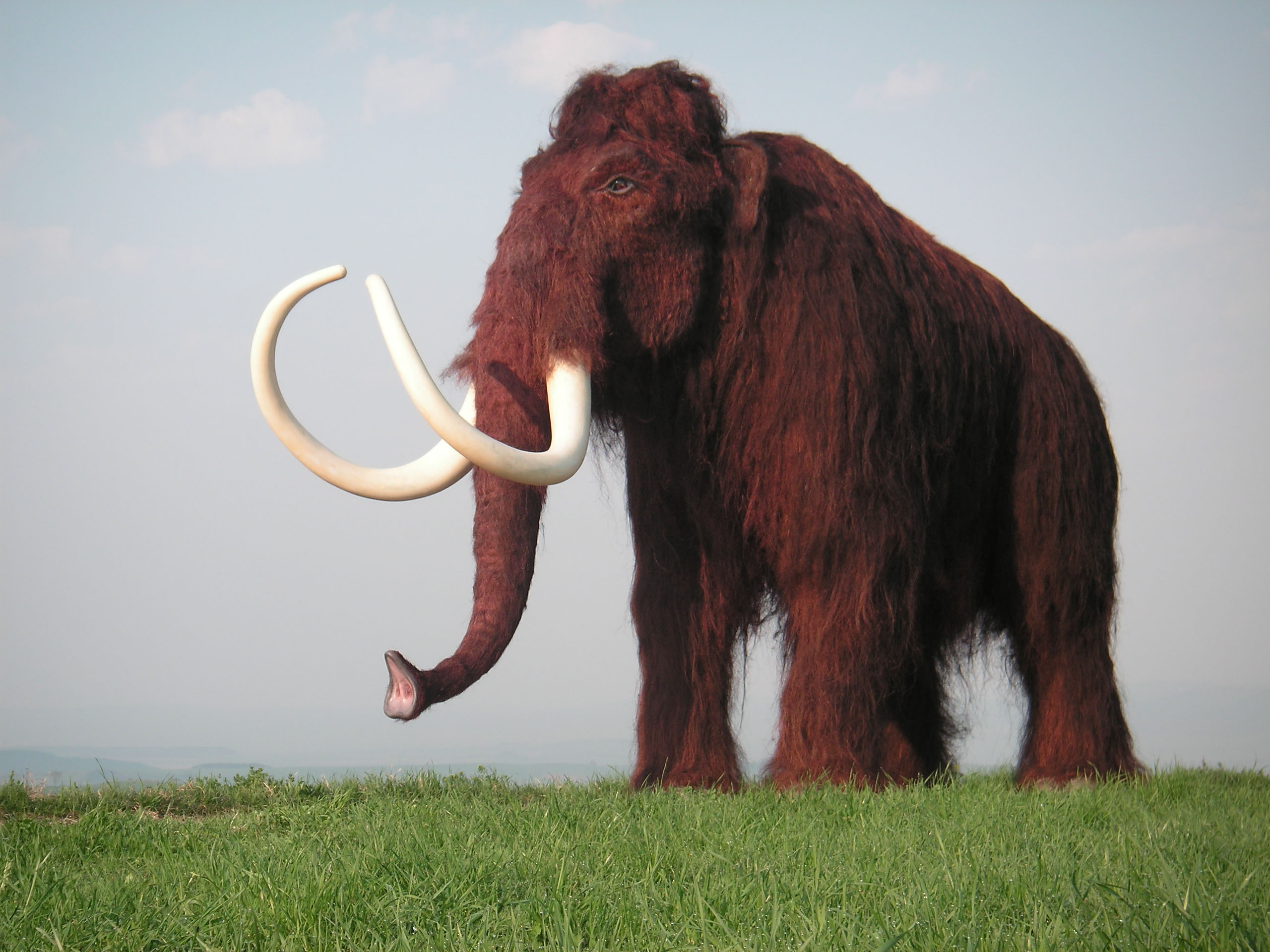 mother MAMMOTH by peter klaudiny at Coroflot.com
