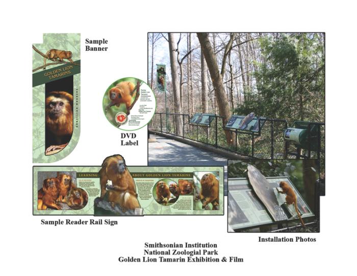 2005-08 SI NZP Golden Lion Tamarin Exhibit by Hank Grasso at Coroflot.com