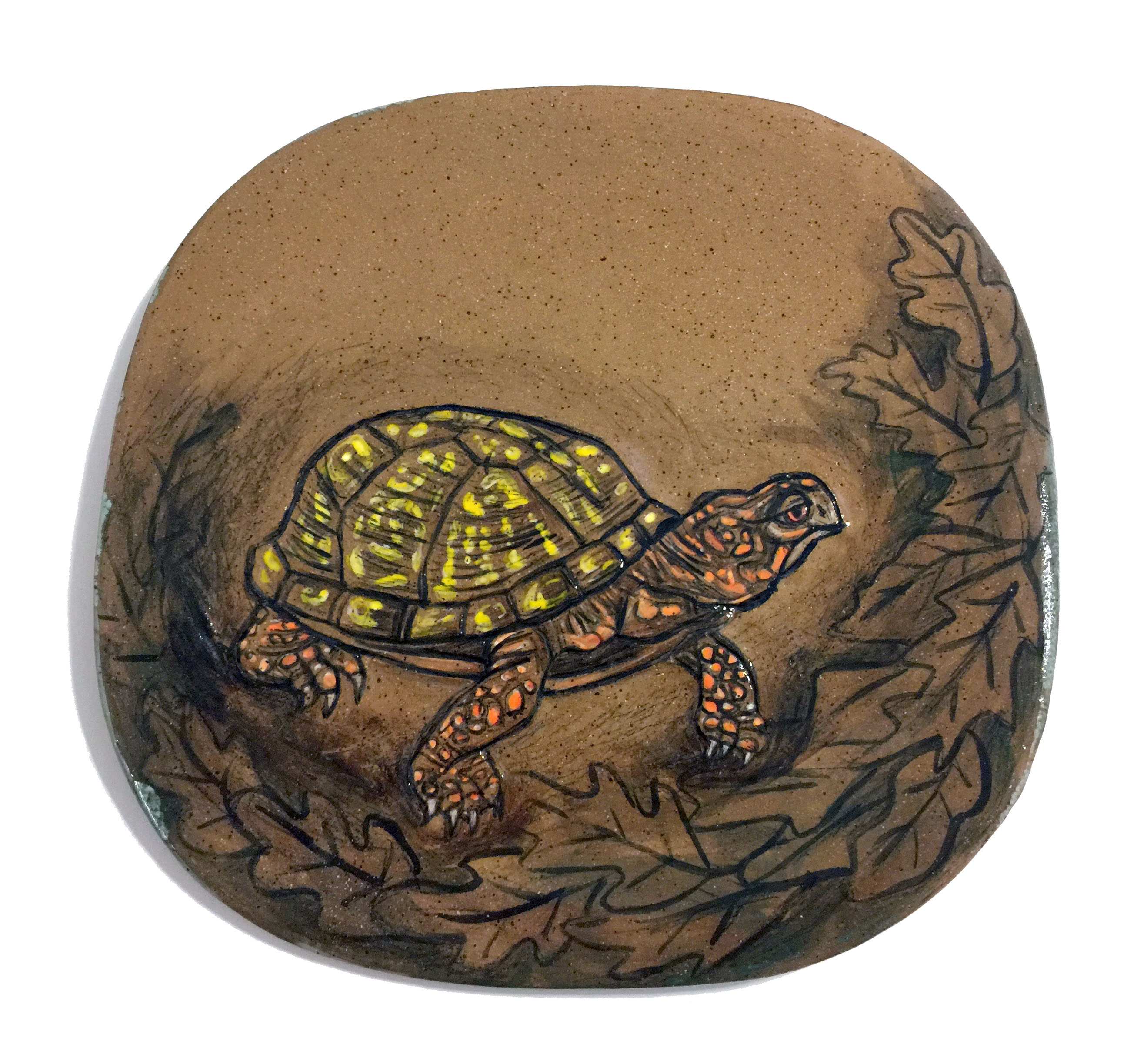 Shell and turtle plates by Melissa Stang at Coroflot.com