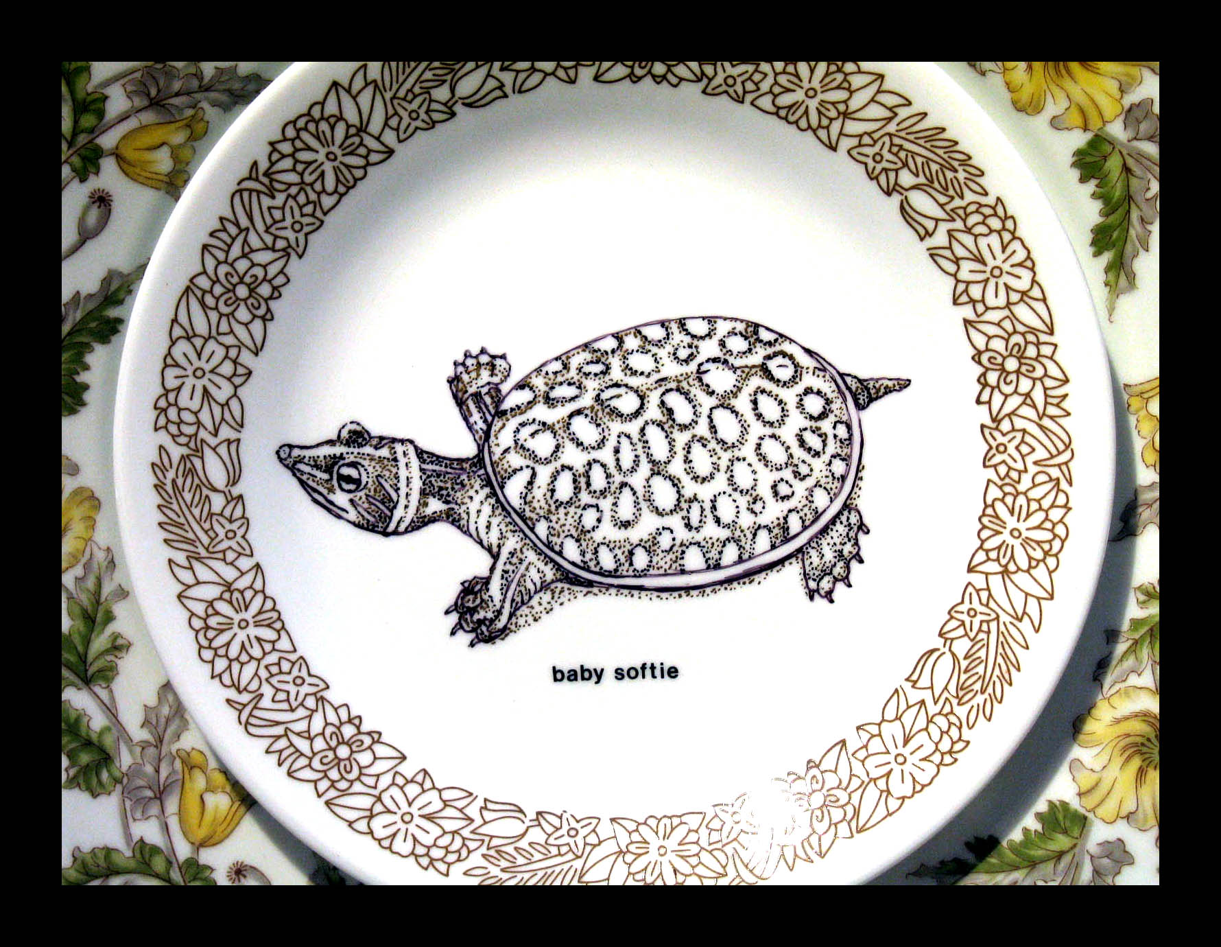 Evolution and Reptile Plates 801 Gallery by Melissa Stang at Coroflot.com