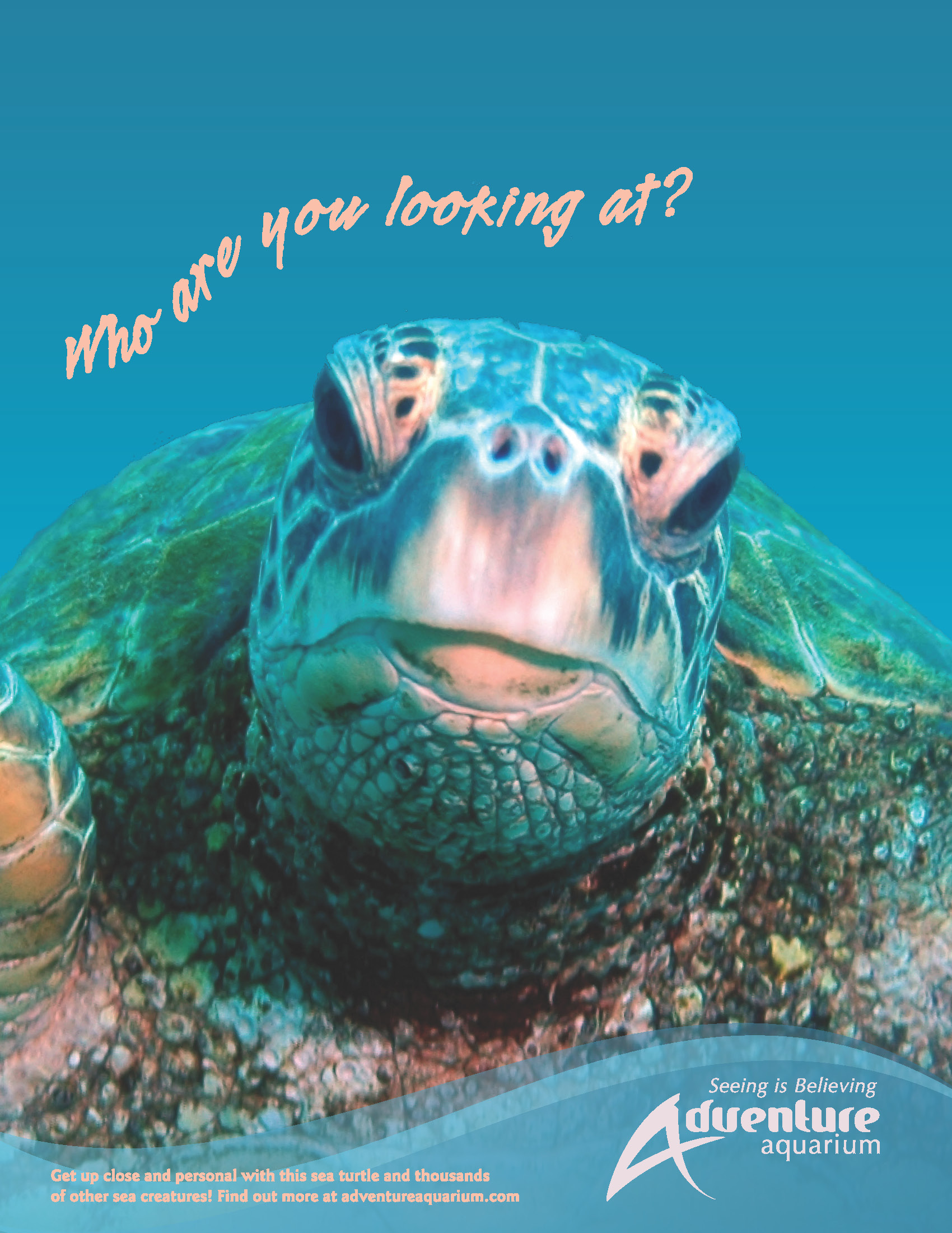 Adventure Aquarium Campaign by Carissa Schied at Coroflot.com