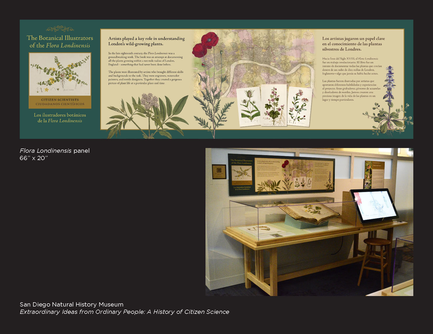 Museum exhibition graphic design by Lydia D'moch at Coroflot.com