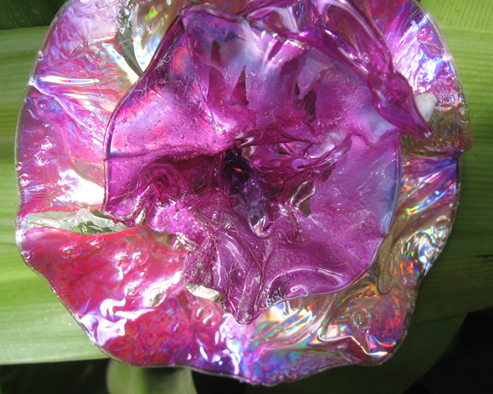 cd flowers by Aditi Goenka at Coroflot.com