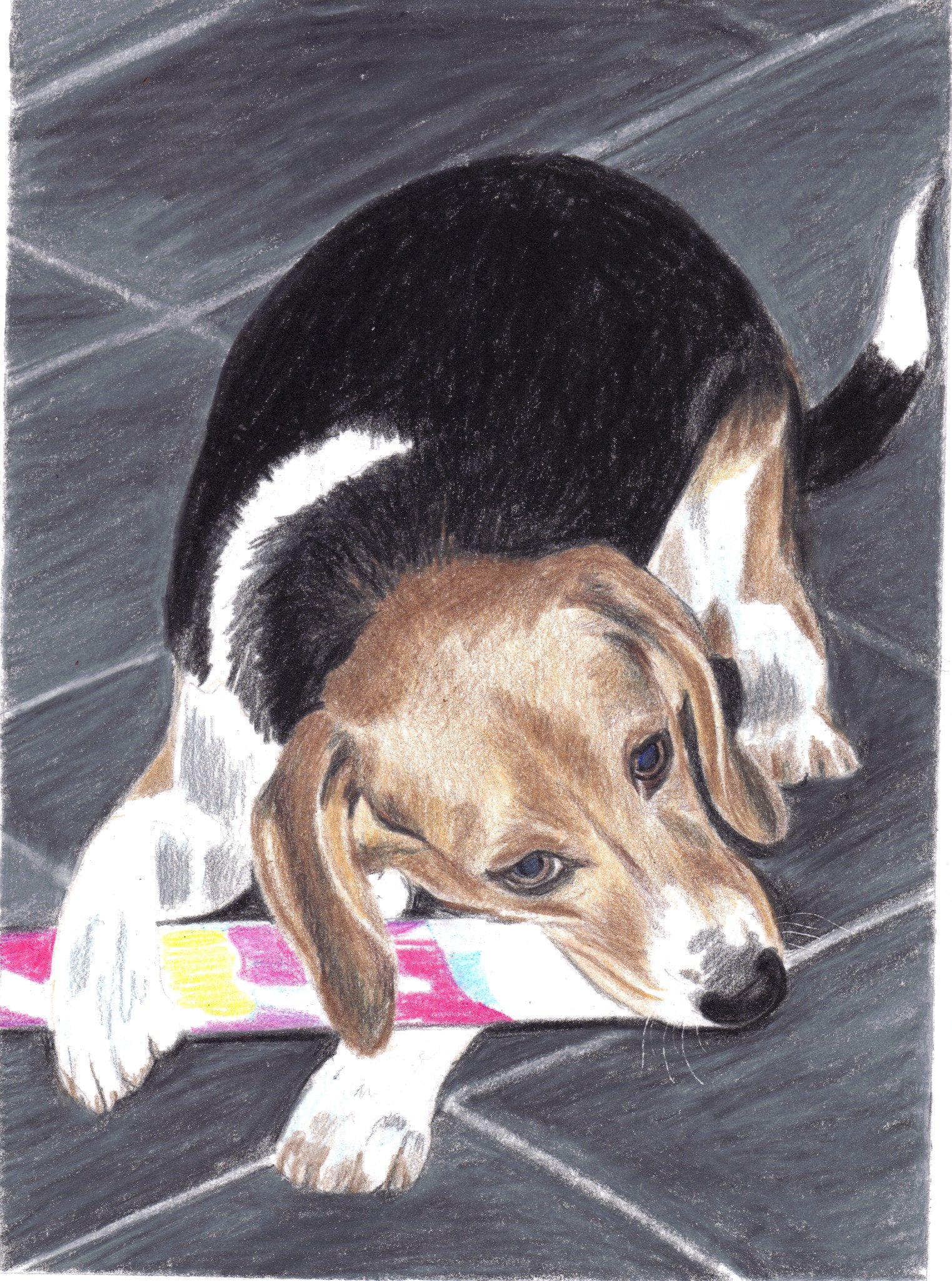 Colored Pencil & Pastel Portraits by Linda Robb at Coroflot.com