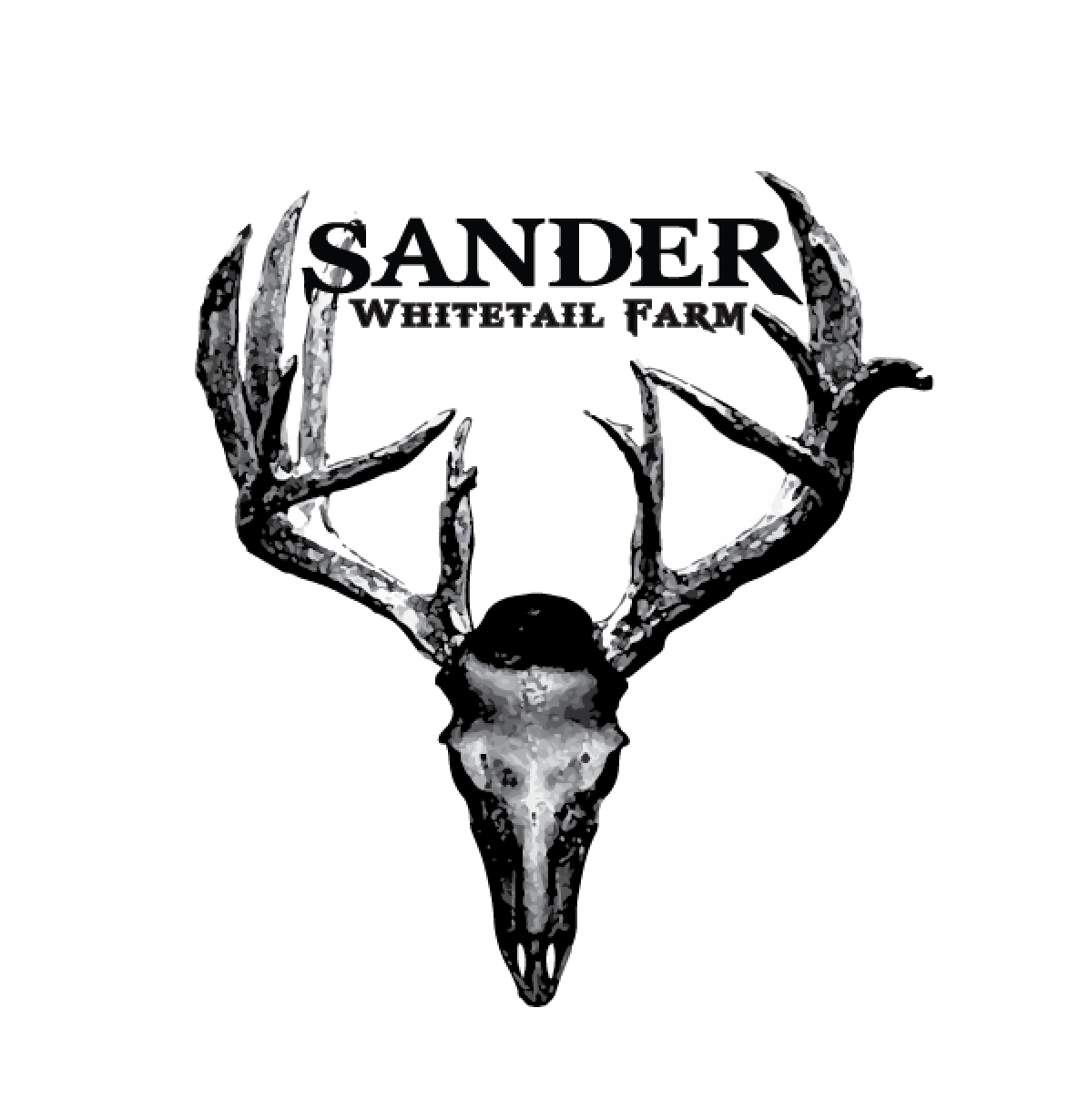 Sander Logo Design by Shannon Carlin at Coroflot.com