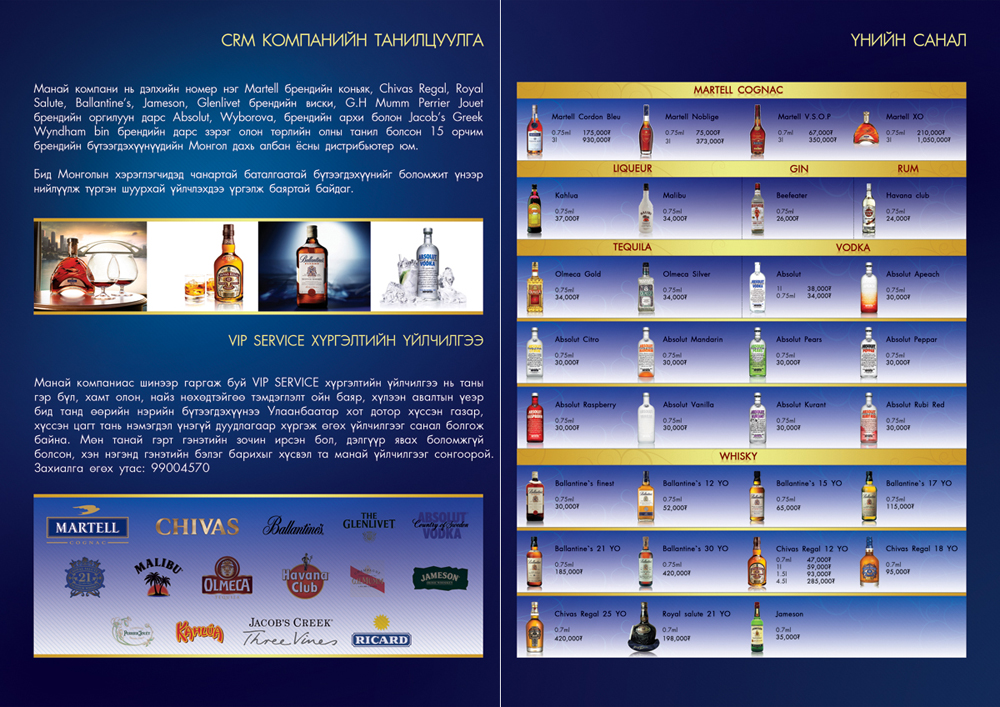 CRM Company posters and branding by Tamir Bayarsaikhan at Coroflot.com