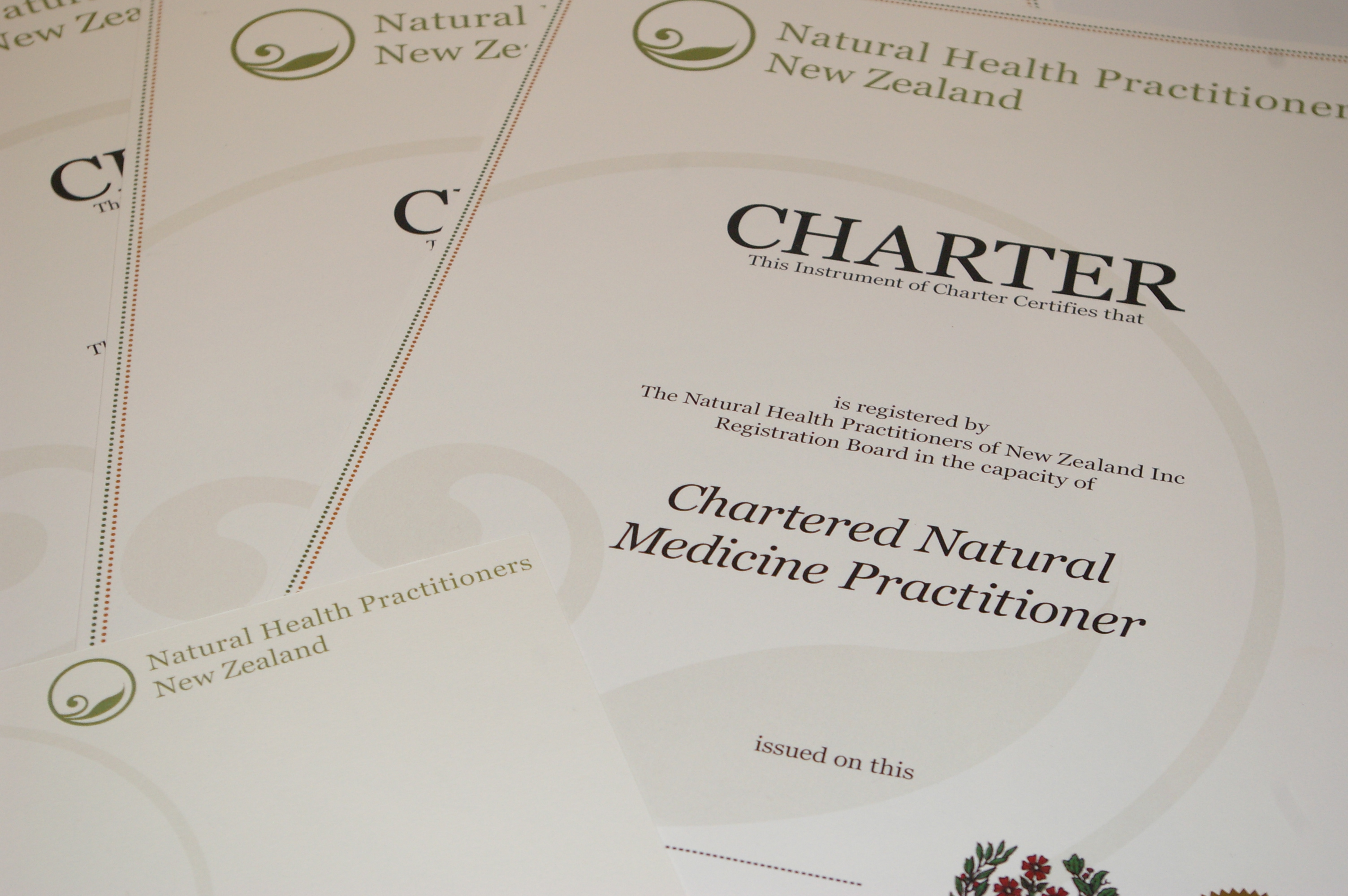 Natural Health Practitioners NZ by Karina Tedjapoernama at Coroflot.com