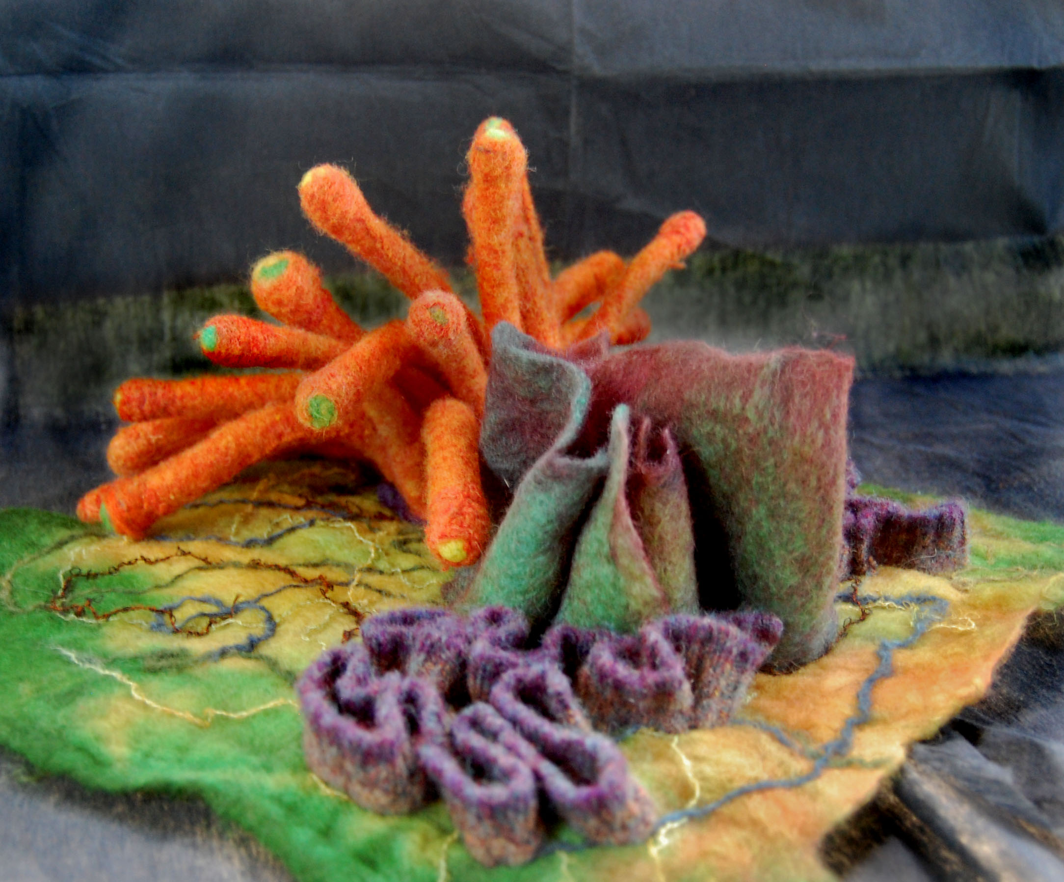 Felted Coral Reef by Natalie Berrong at Coroflot.com