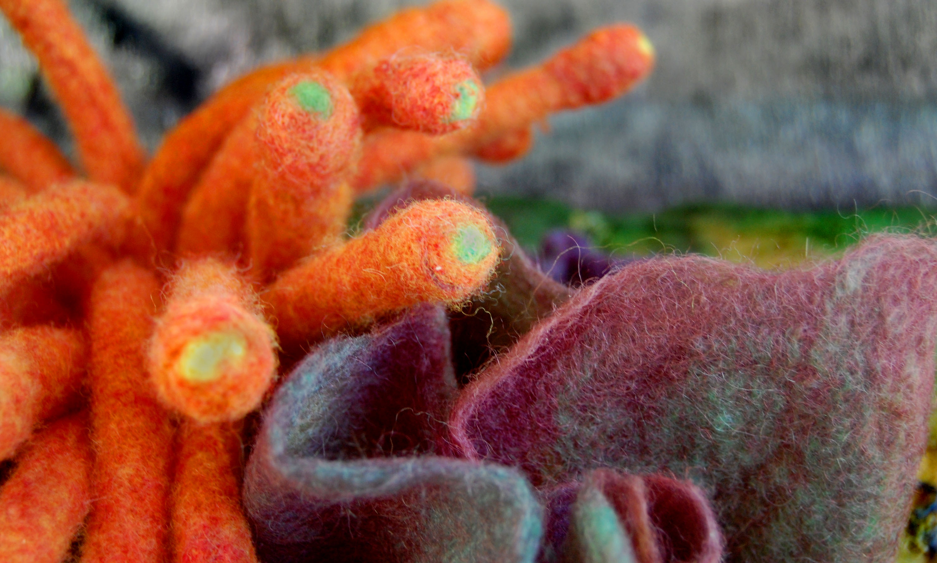 Felted Coral Reef by Natalie Berrong at Coroflot.com