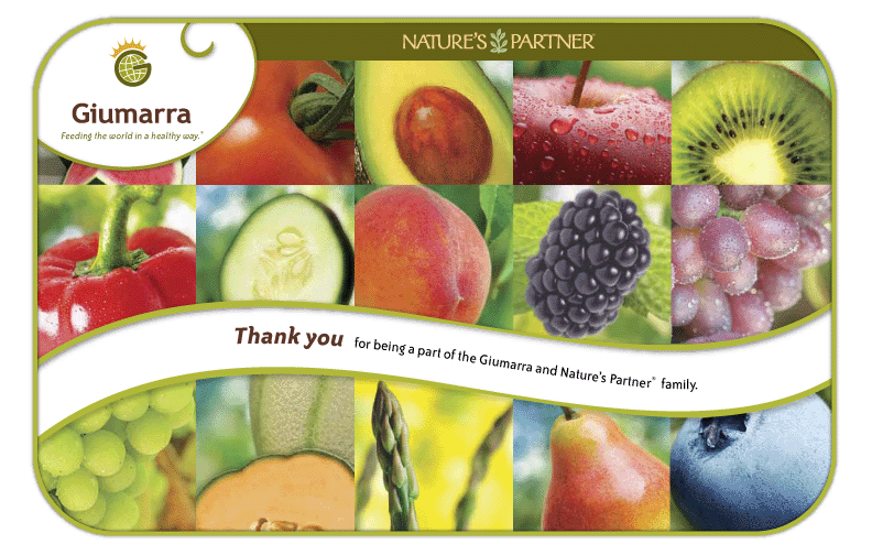 Professional Work by Kelly Christopherson at Coroflot.com