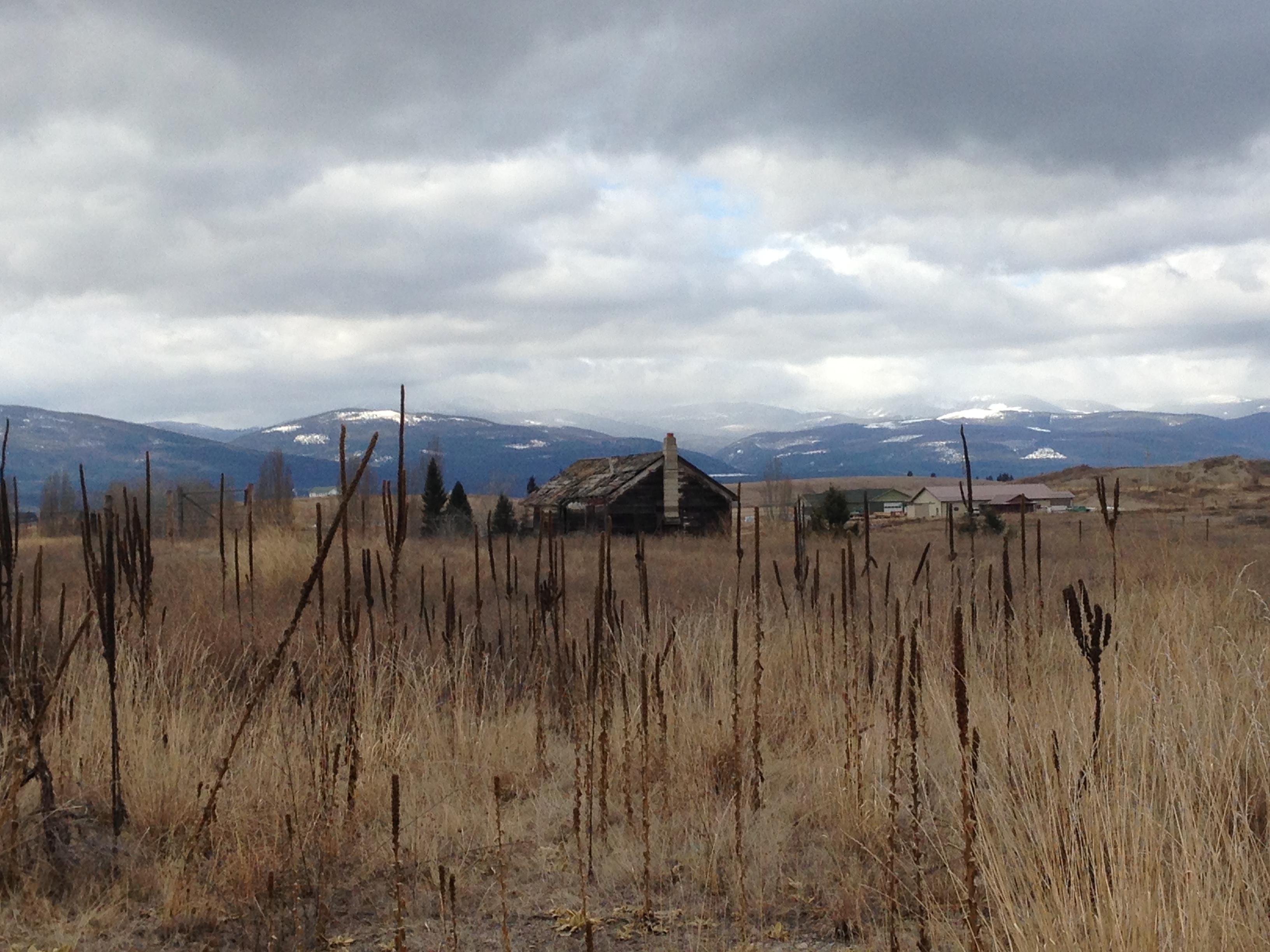 Totally raw, unedited photography by Melissa Sallese at Coroflot.com