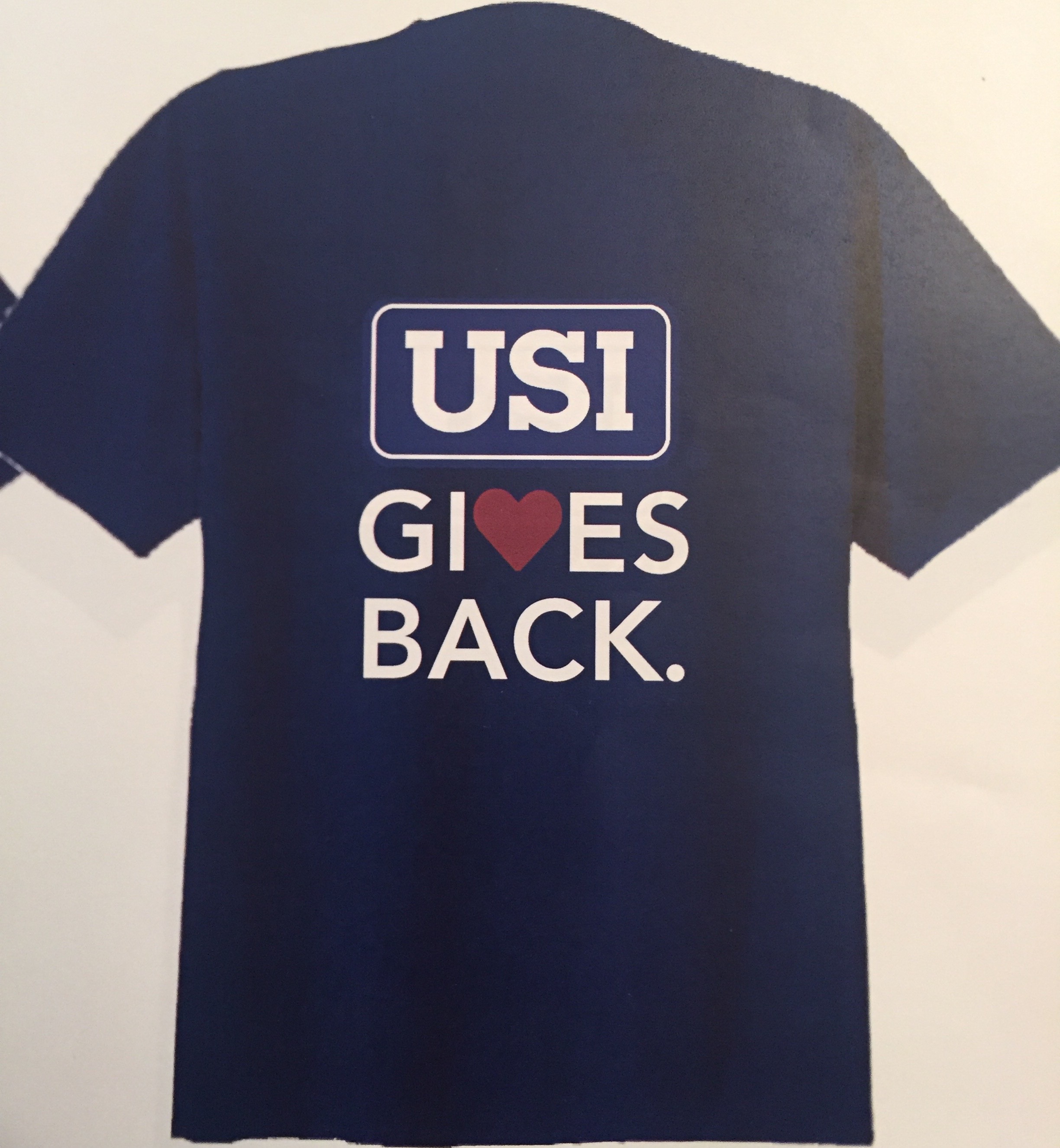 USI LOGOS, infographics by Karen Camburn at Coroflot.com