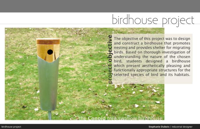 Tree Swallow Birdhouse by Stephanie Dubois at Coroflot.com