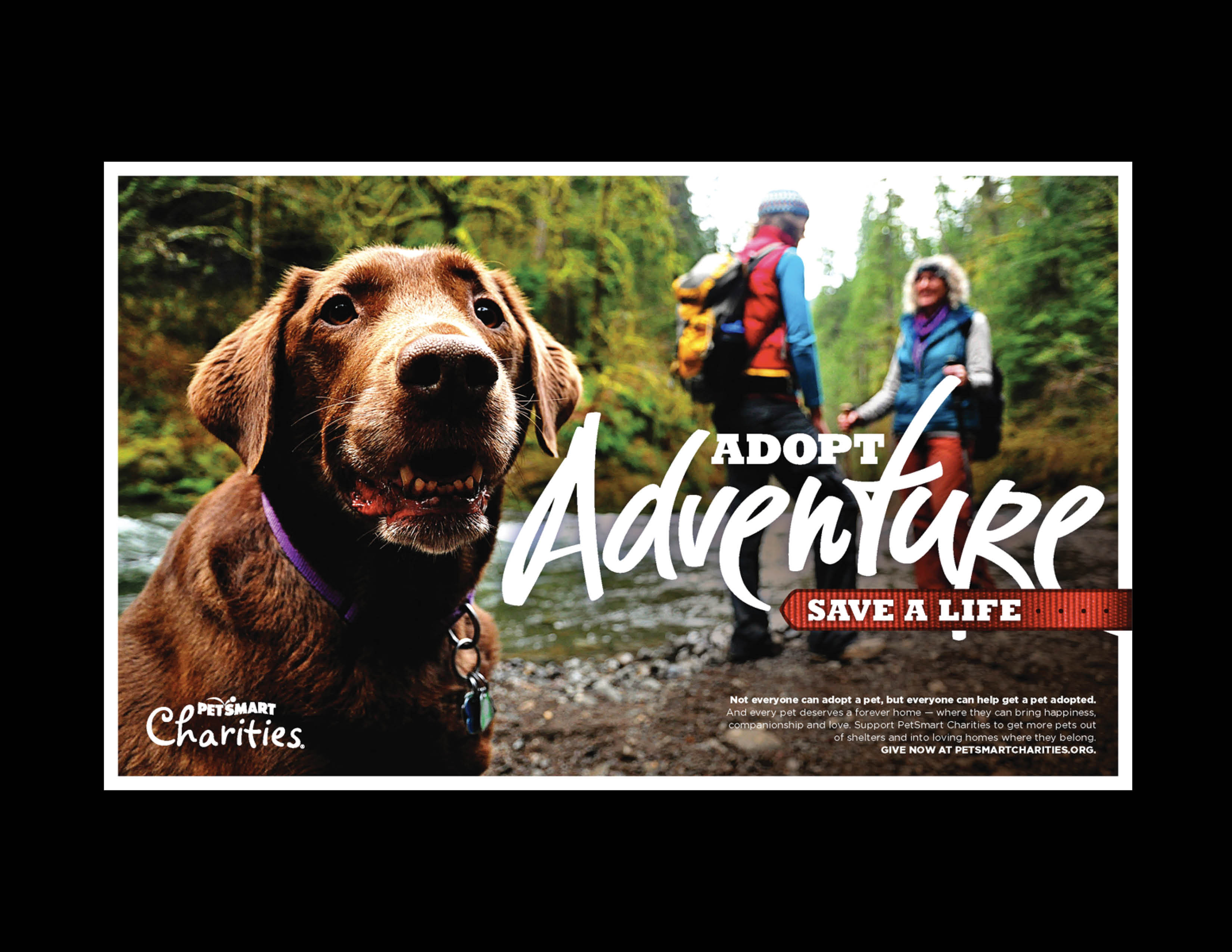 PetSmart Charities ADOPT AND SAVE A LIFE Campaign by David Torres at ...