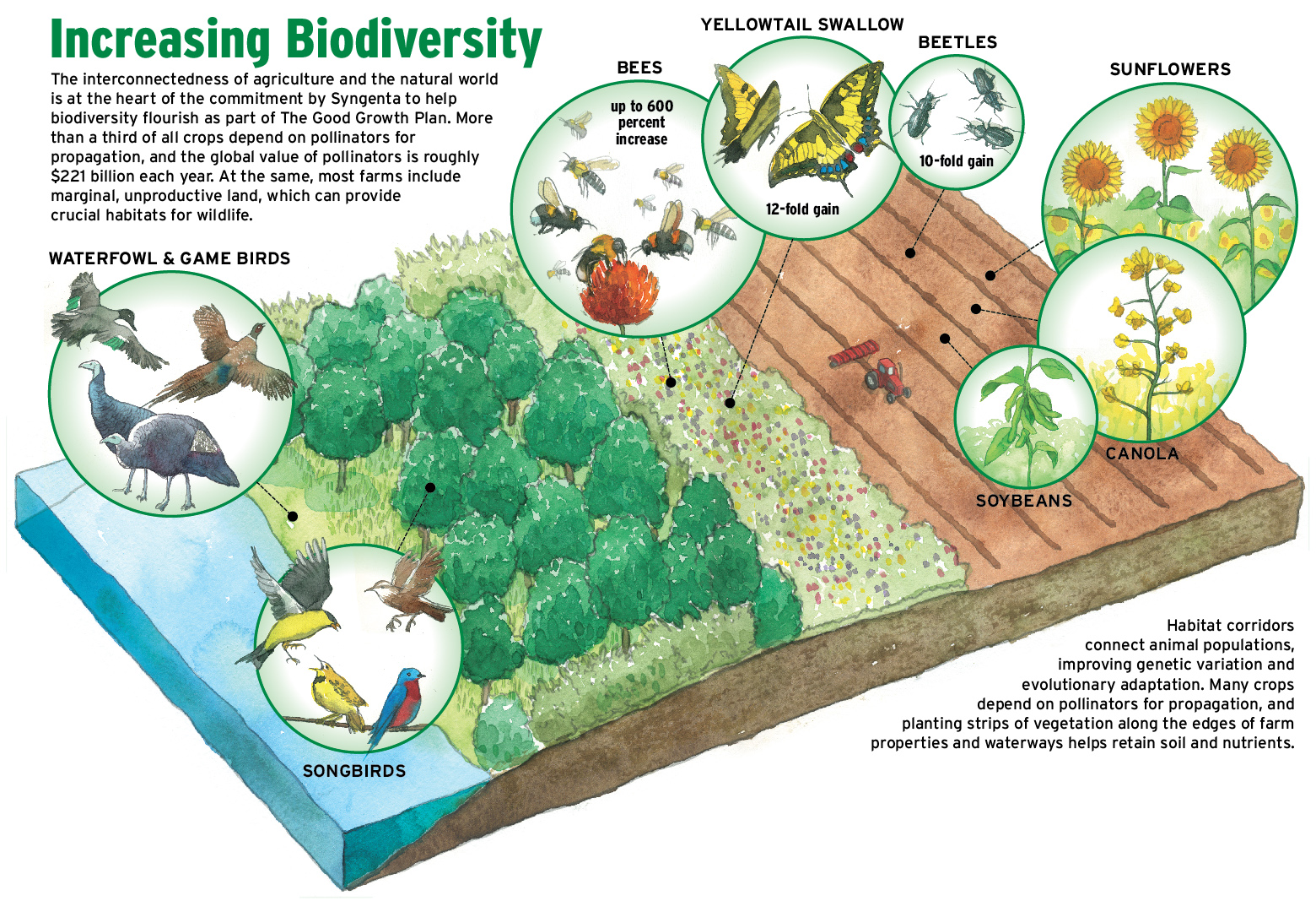 Digital infographics by Steven Stankiewicz at Coroflot.com