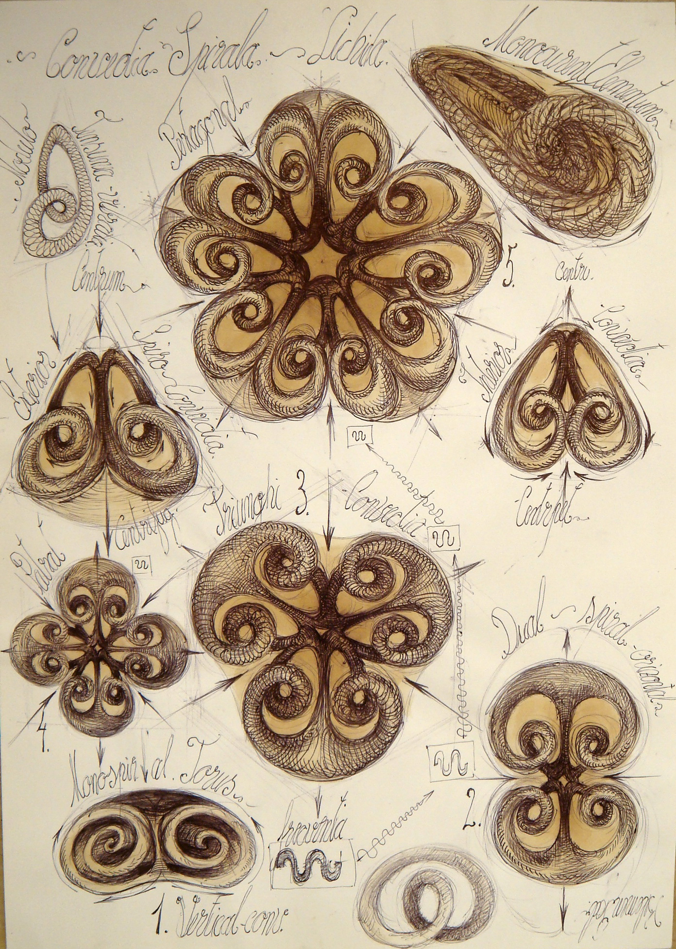 Universal Sphere-Vortex Principium Theory by Kelemen Gabriel at ...
