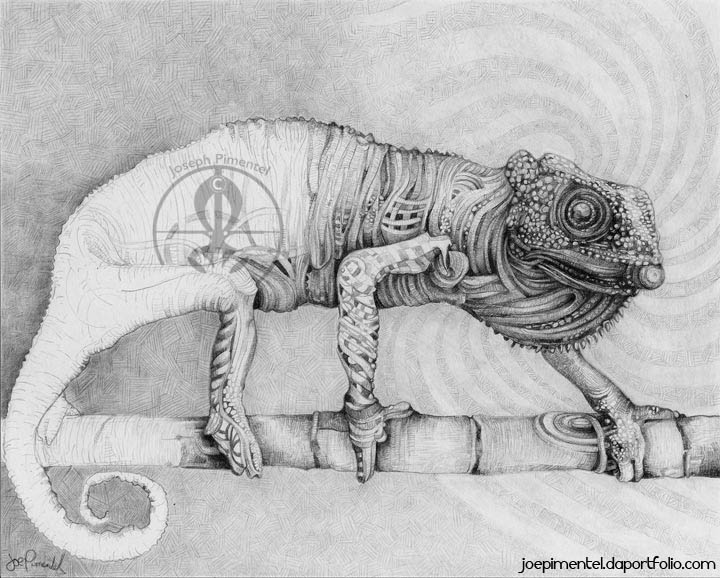 Pencil Animal Series by Joe Pimentel at Coroflot.com