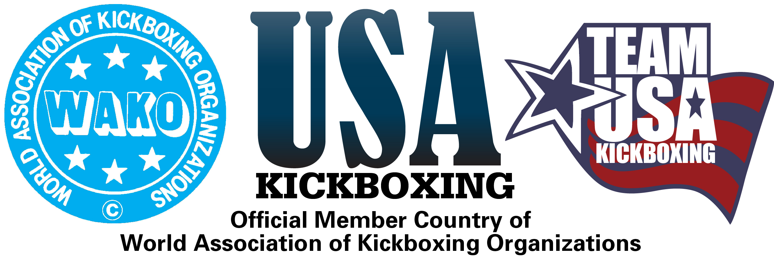 WAKO Team USA Kickboxing by Scott Swidler at Coroflot.com