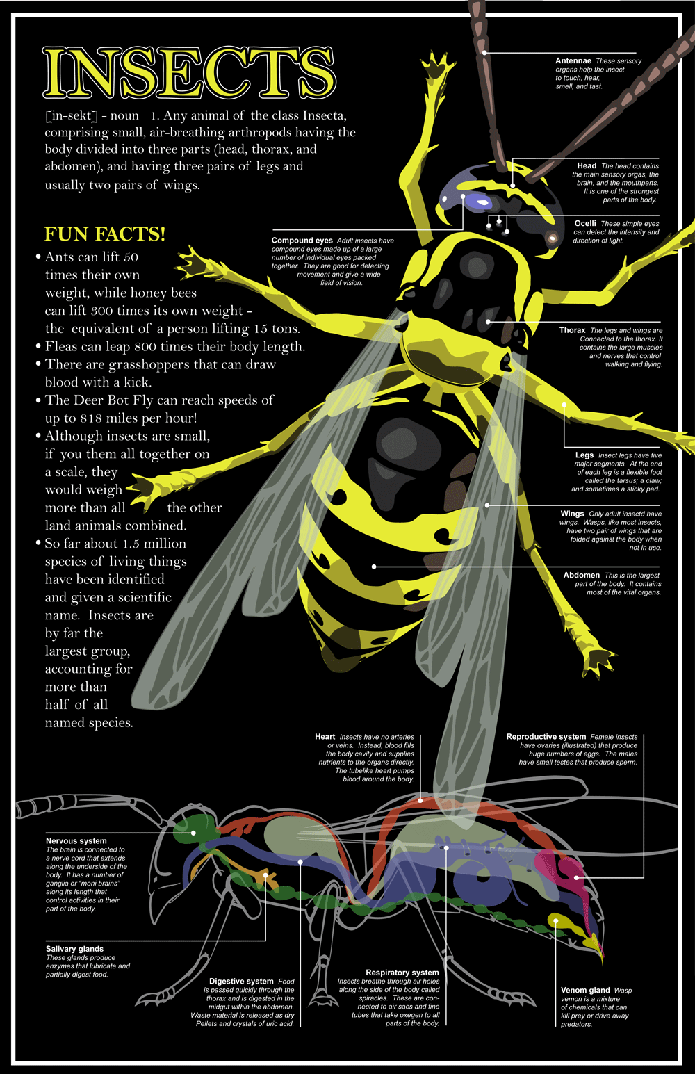 Illustrator by William Swygart at Coroflot.com