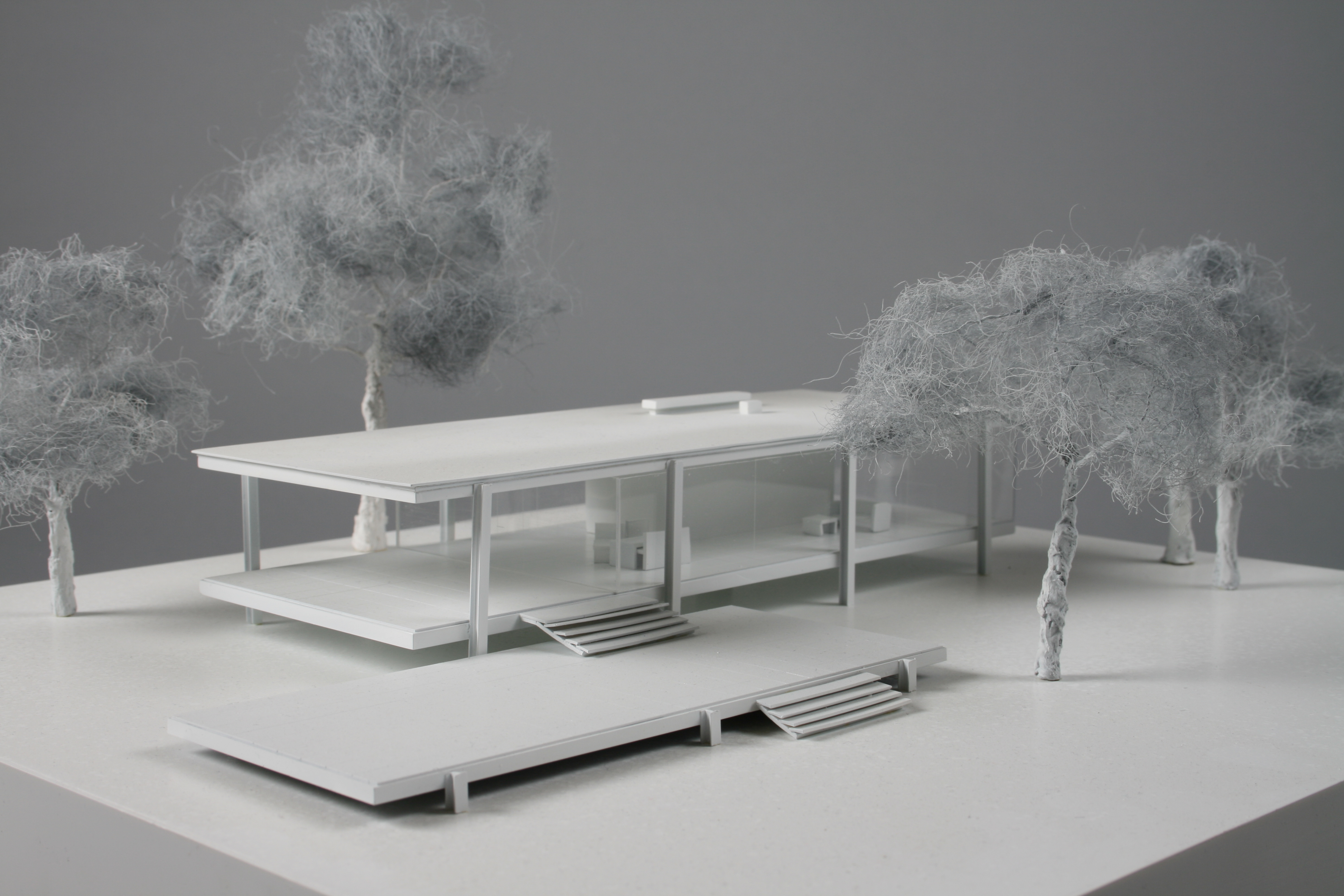 Farnsworth House.jpg (3888×2592)