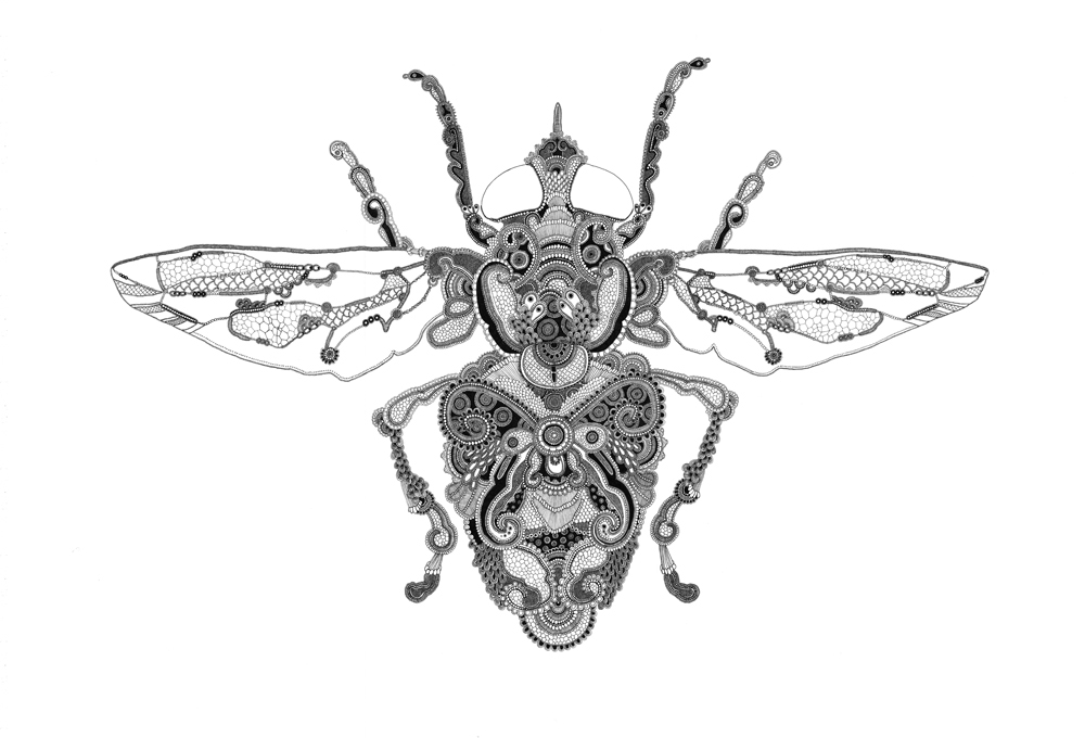 Insects by Rosalind Monks at Coroflot.com