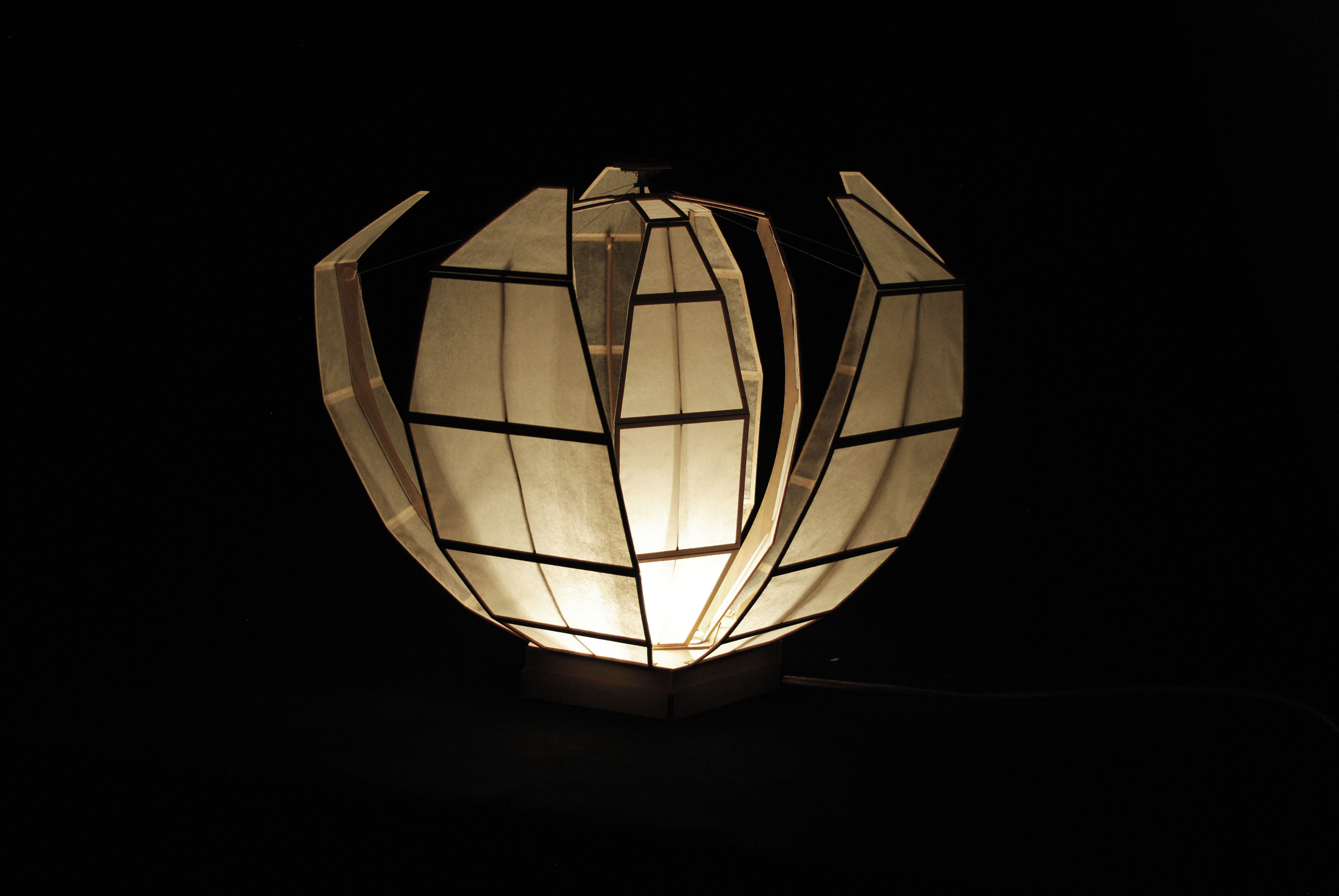 Biomimicry Lamp by Claire Dunnington at Coroflot.com