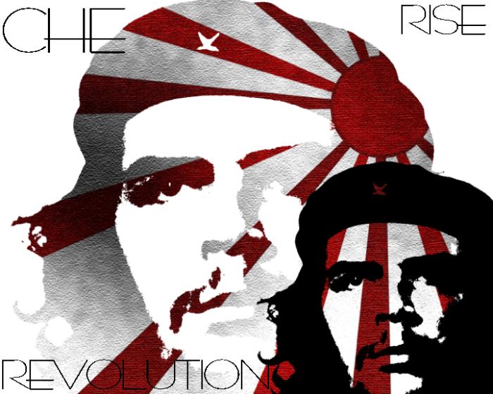 Disestablishmentarianism by Sho Hammond at Coroflot.com