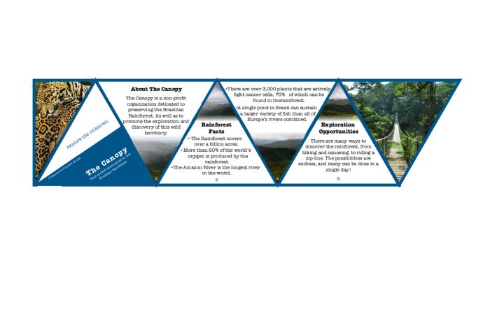Rainforest brochure by Trip Pruitt at Coroflot.com