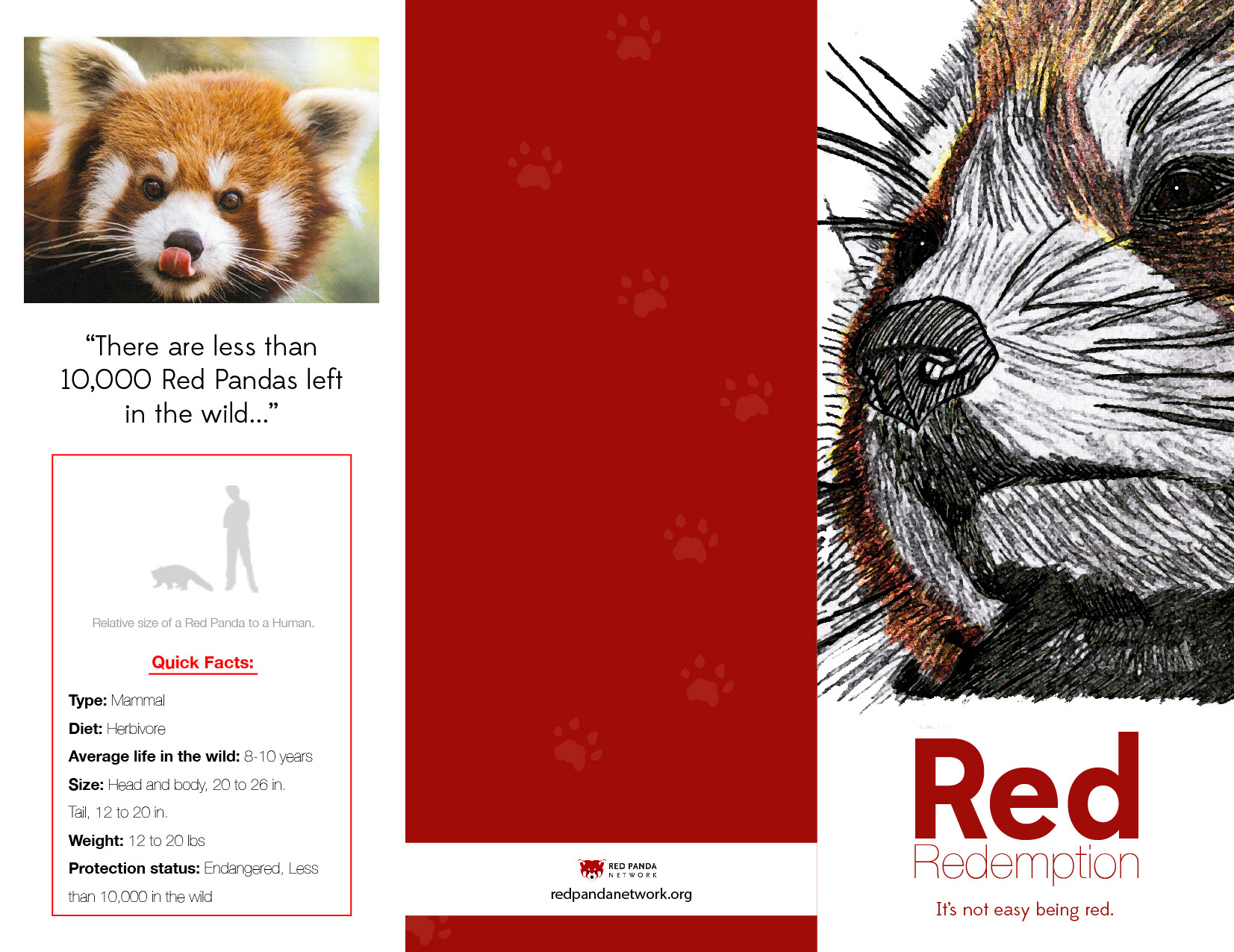 Red Panda Awareness Campaign by Michael Lucas at Coroflot.com