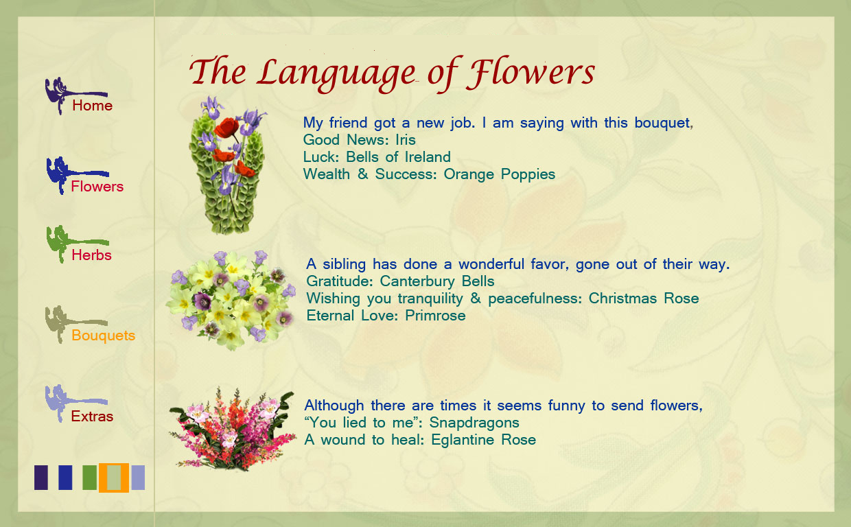 Visual Web Designer- Language of Flowers by Maliz Van De Friess at ...
