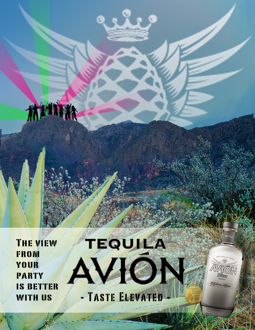 Tequila Avion Print Campaign by Elizabeth Nemeth at Coroflot.com