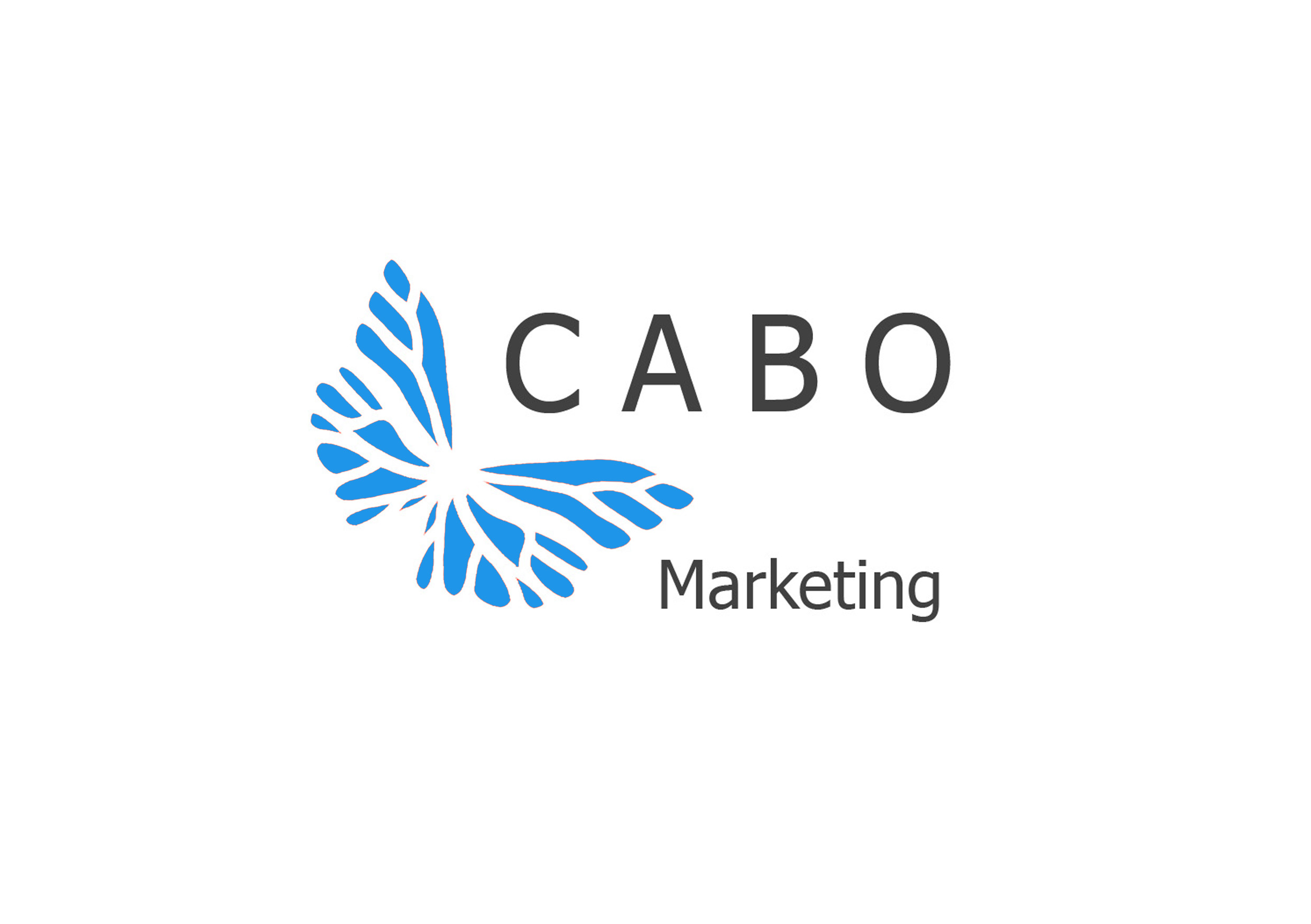 CABO logo design by Stefan Arundel at Coroflot.com