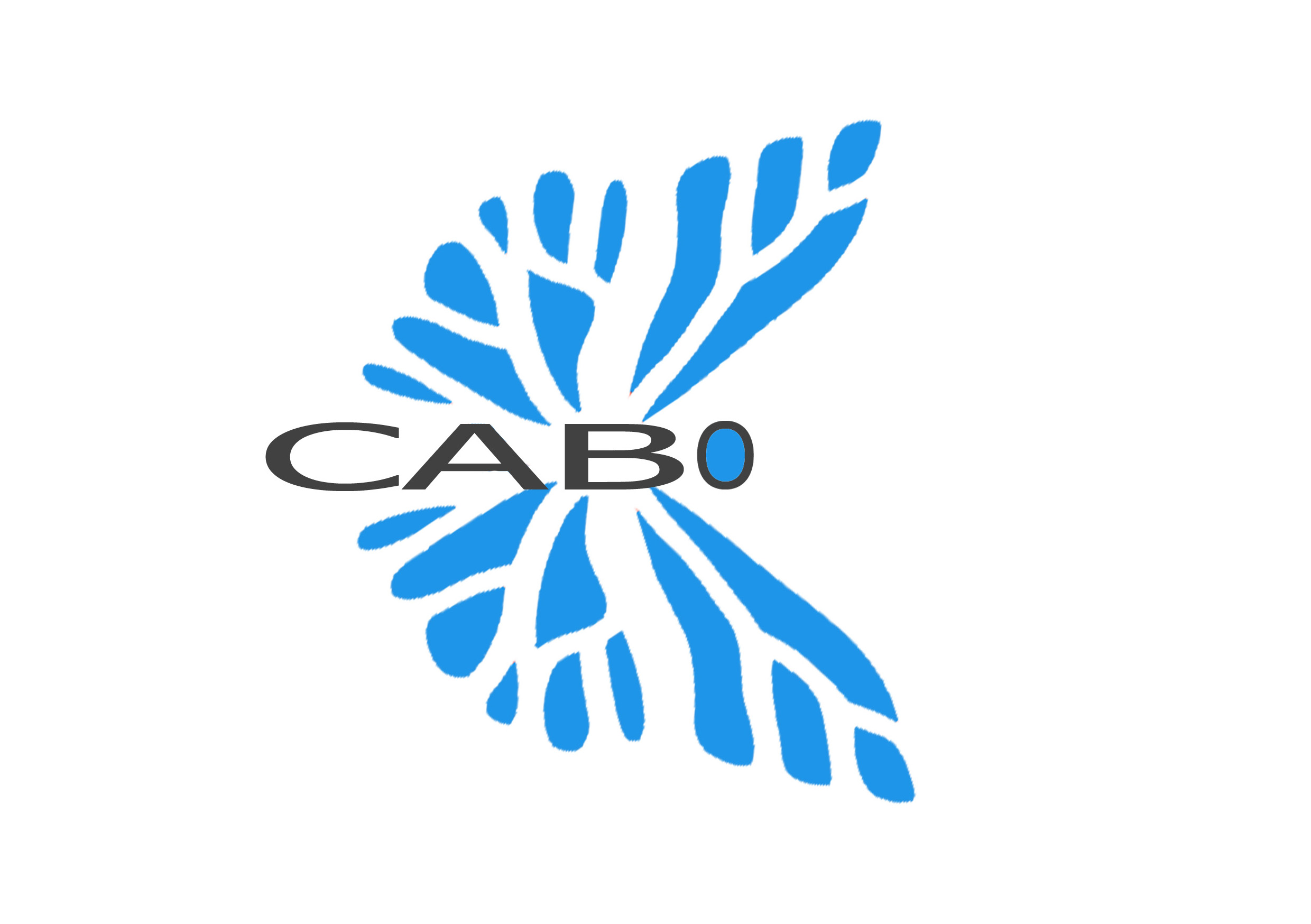 CABO logo design by Stefan Arundel at Coroflot.com