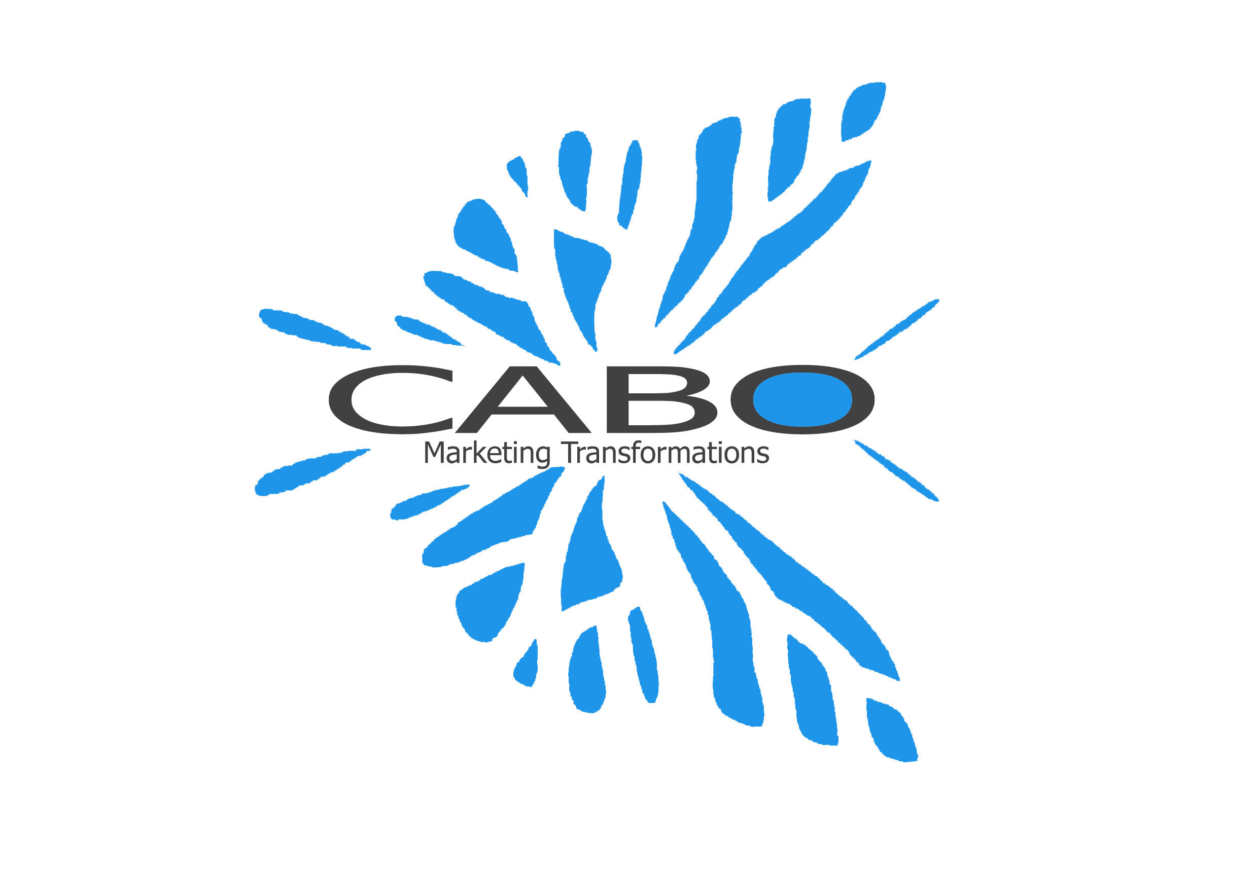 CABO logo design by Stefan Arundel at Coroflot.com