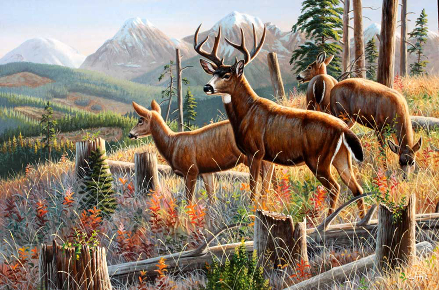 The art of Cynthie Fisher by Jon Wright at Coroflot.com