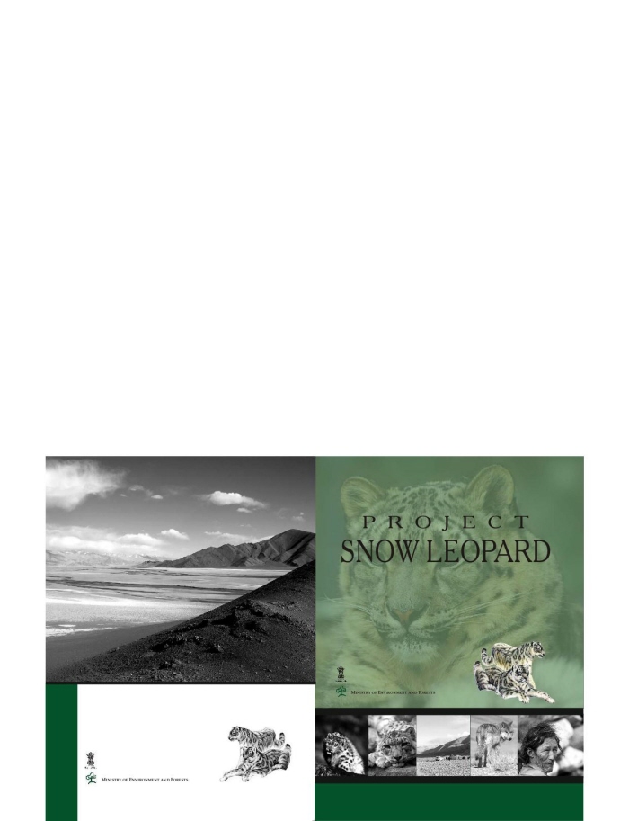 Content Design for Project Snow Leopard by Chandramouli K at Coroflot.com